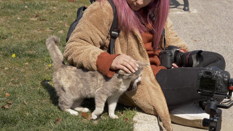 Free No Copyright Animation Videos, Download The BEST Free 4k Stock ...