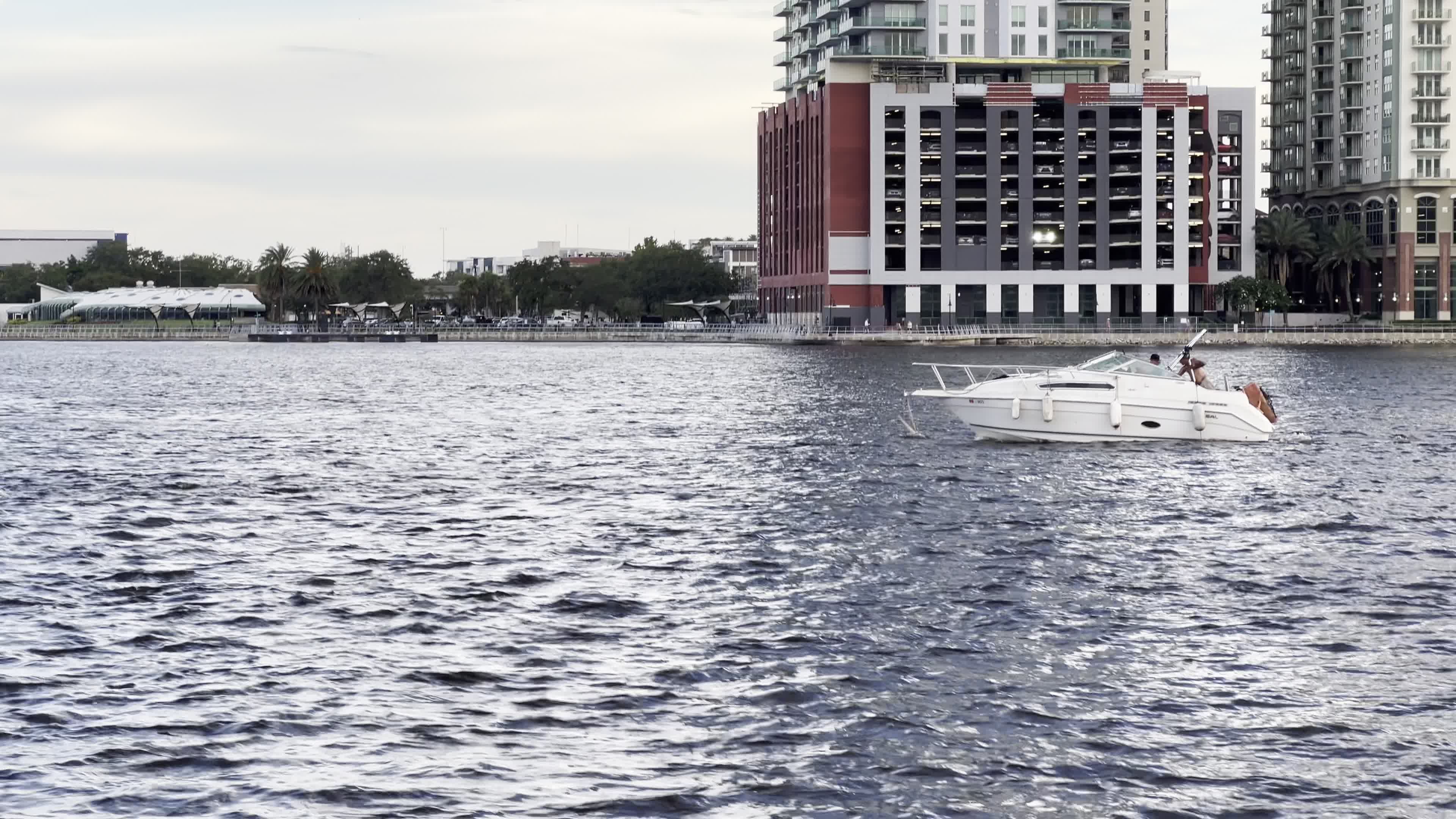 Wikipedia Videos, Download The BEST Free 4k Stock Video Footage ...