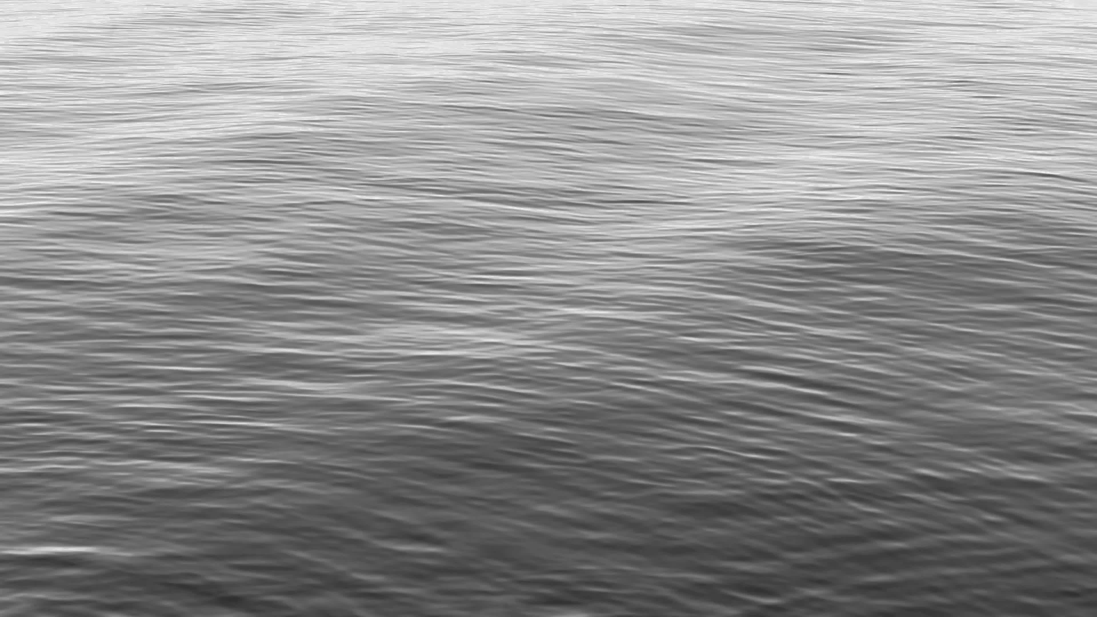 Black+Girl+Sits+On+Your+Face Videos, Download The BEST Free 4k Stock ...