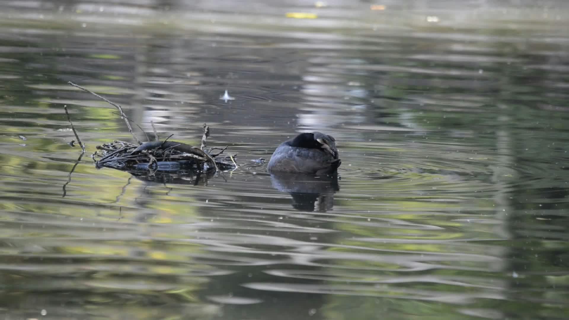 ச*****+வீடியோ+ஃபுல்+மூவி+Hd Videos, Download The BEST Free 4k Stock ...