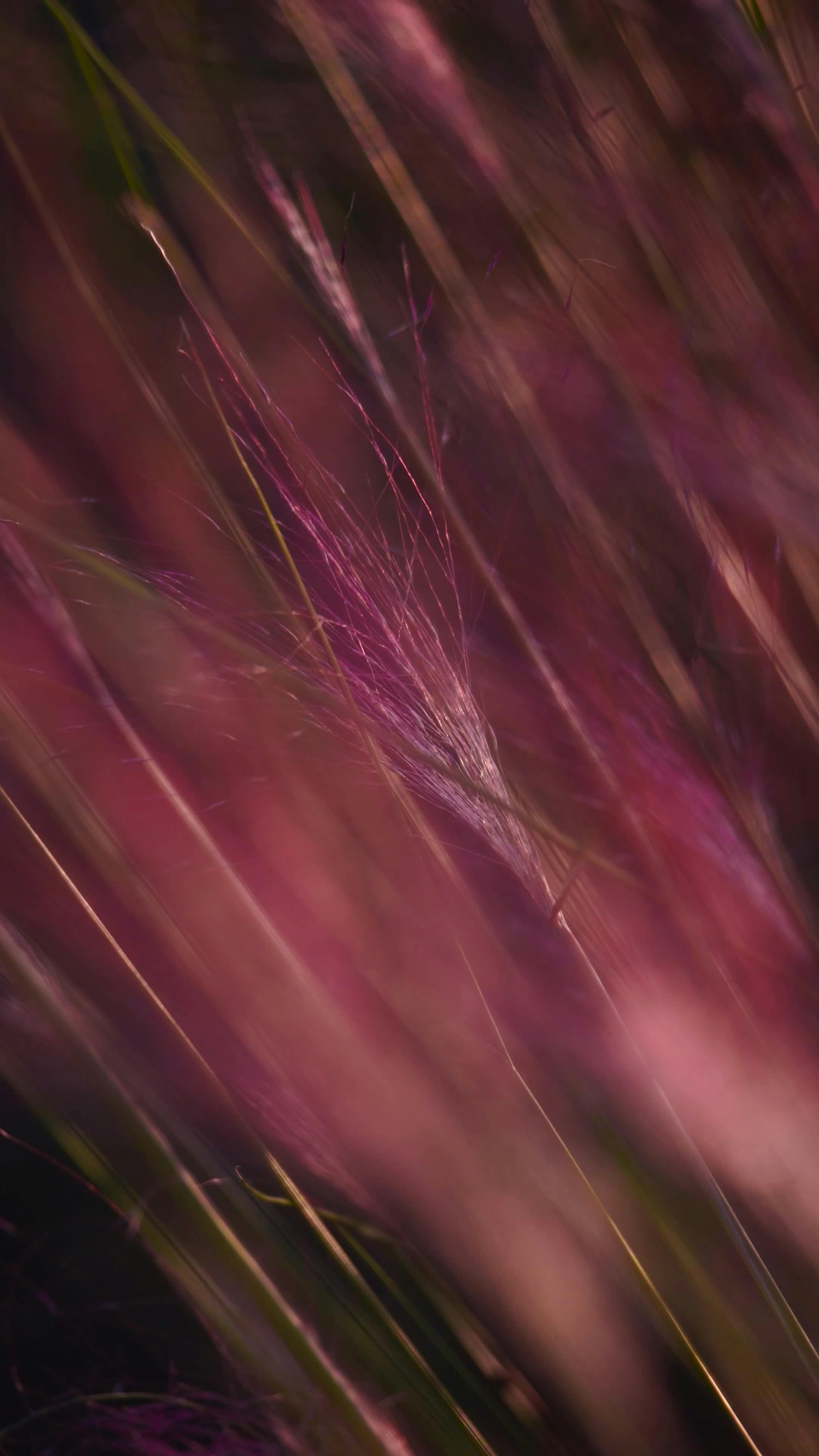 Powerpoint Background Videos, Download The BEST Free 4k Stock Video ...