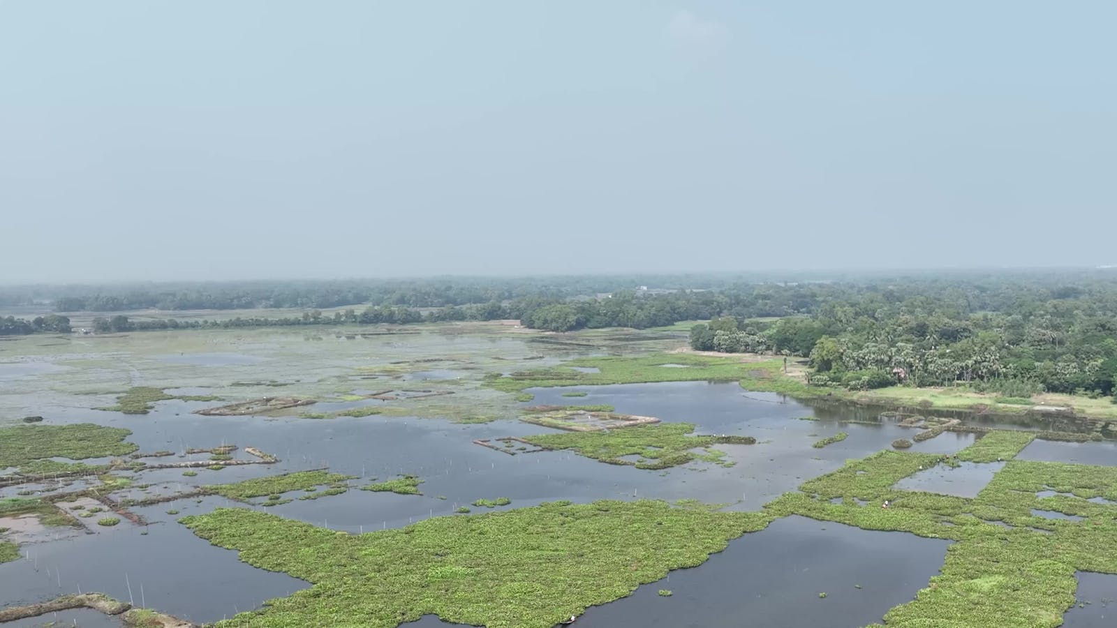 Girls+Fighting+Ripping+Clothes+Off Videos, Download The BEST Free 4k ...