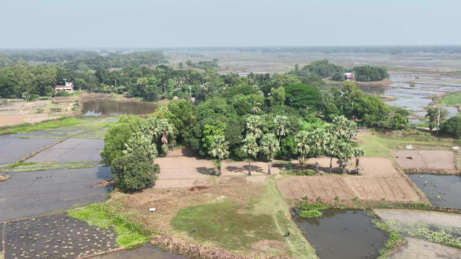 Girls+Fighting+Ripping+Clothes+Off Videos, Download The BEST Free 4k ...