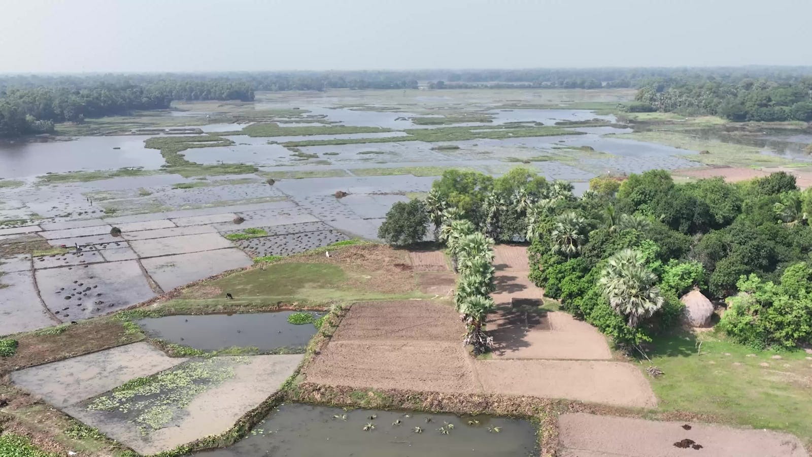 Girls+Fighting+Ripping+Clothes+Off Videos, Download The BEST Free 4k ...