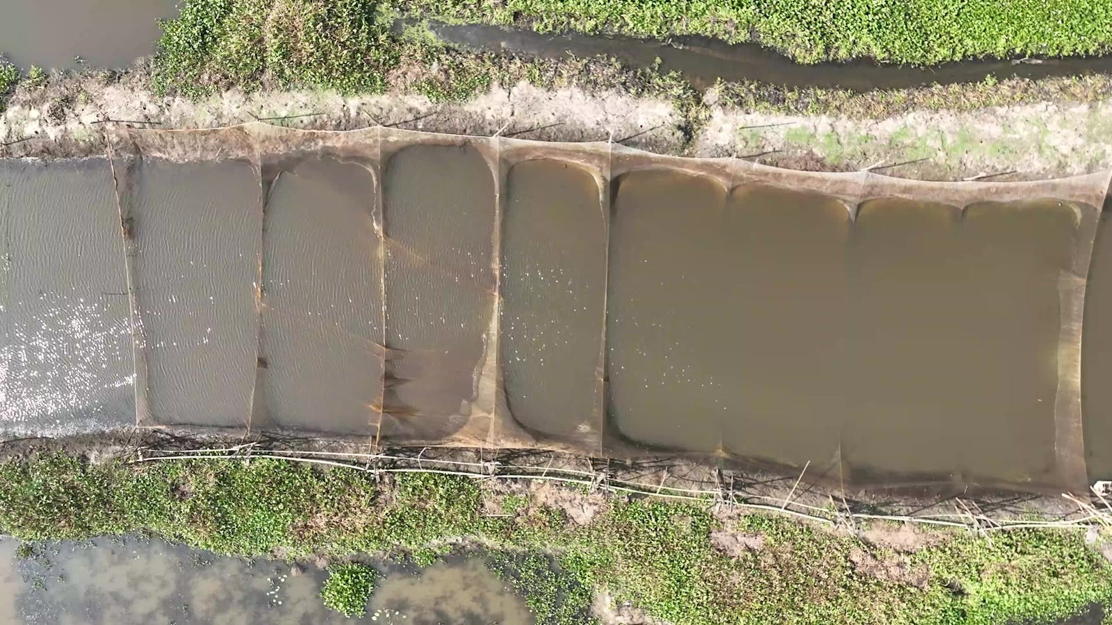 Girls+Fighting+Ripping+Clothes+Off Videos, Download The BEST Free 4k ...