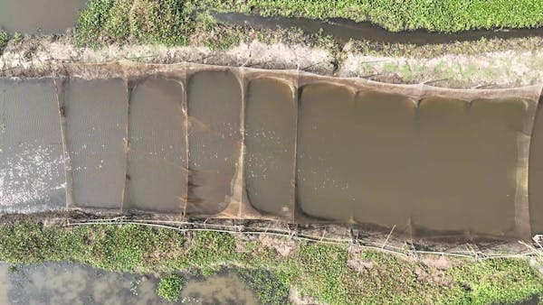 Girls+Fighting+Ripping+Clothes+Off Videos, Download The BEST Free 4k ...