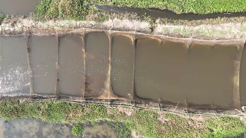 Girls+Fighting+Ripping+Clothes+Off Videos, Download The BEST Free 4k ...