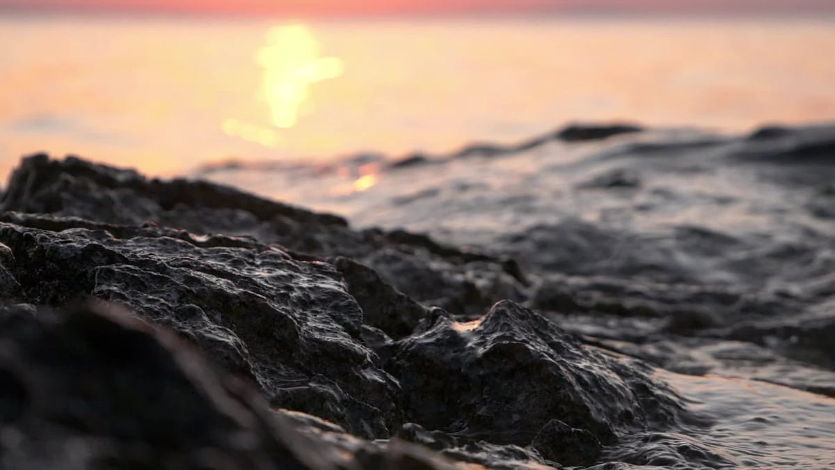 Horse+Breeding+Compilation+Up+Close Videos, Download The BEST Free 4k ...