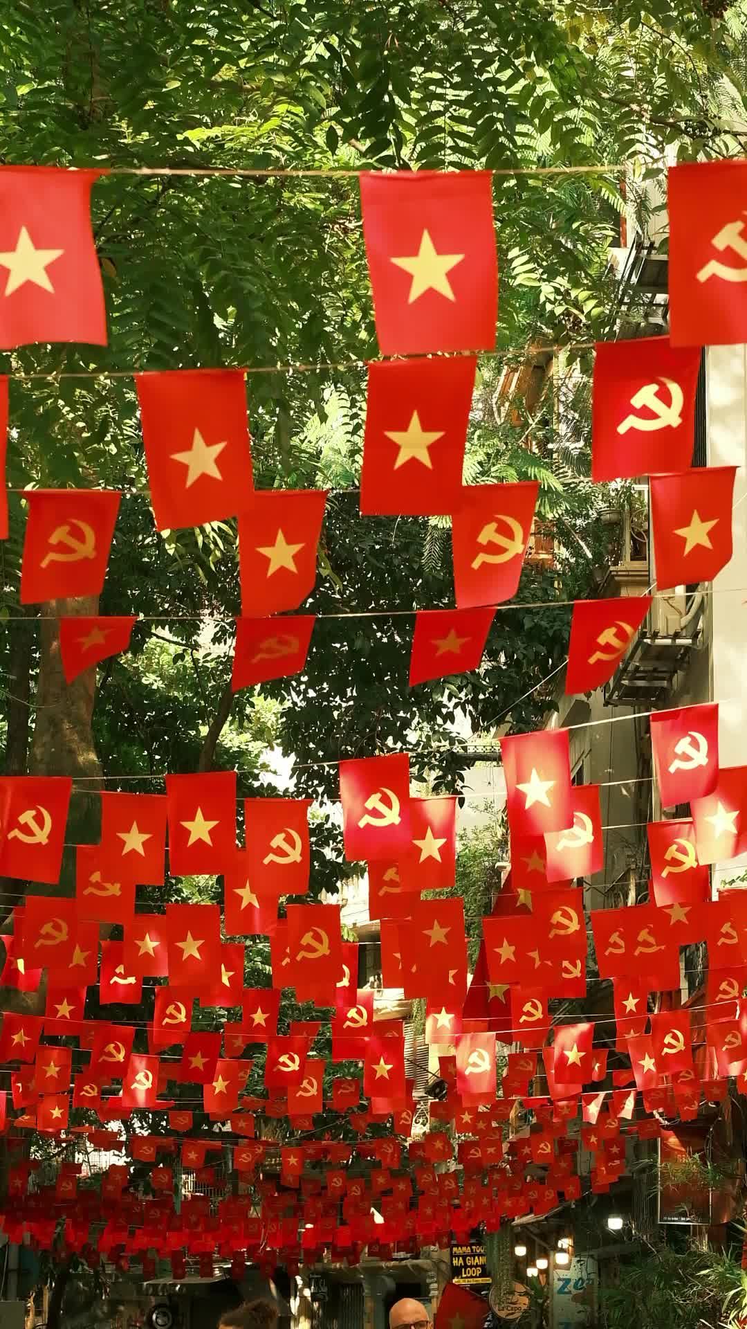 Vibrant National Flags Festival Celebration Free Stock Video Footage ...