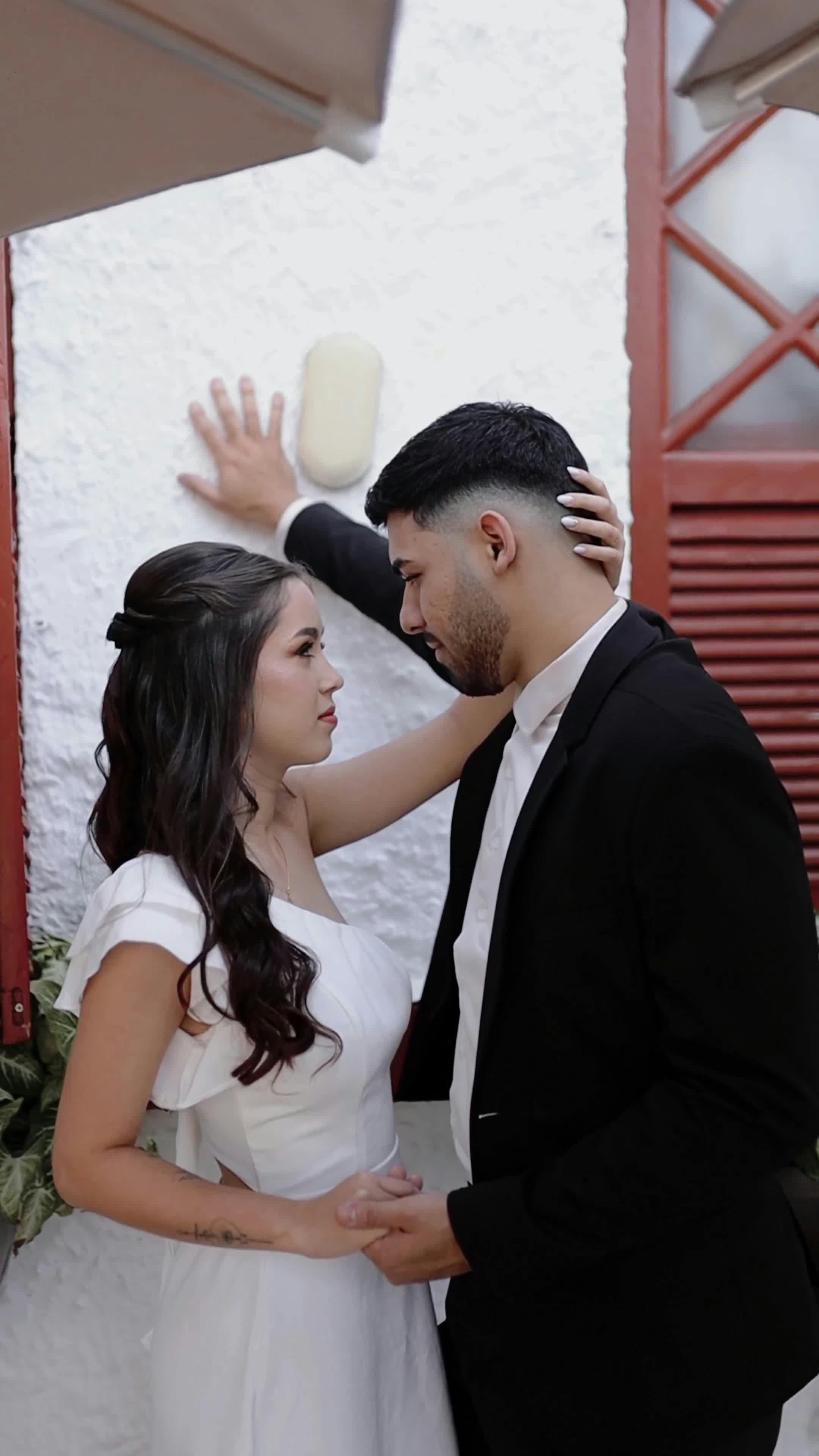 Horse+Breeding+Compilation+Up+Close Videos, Download The BEST Free 4k ...