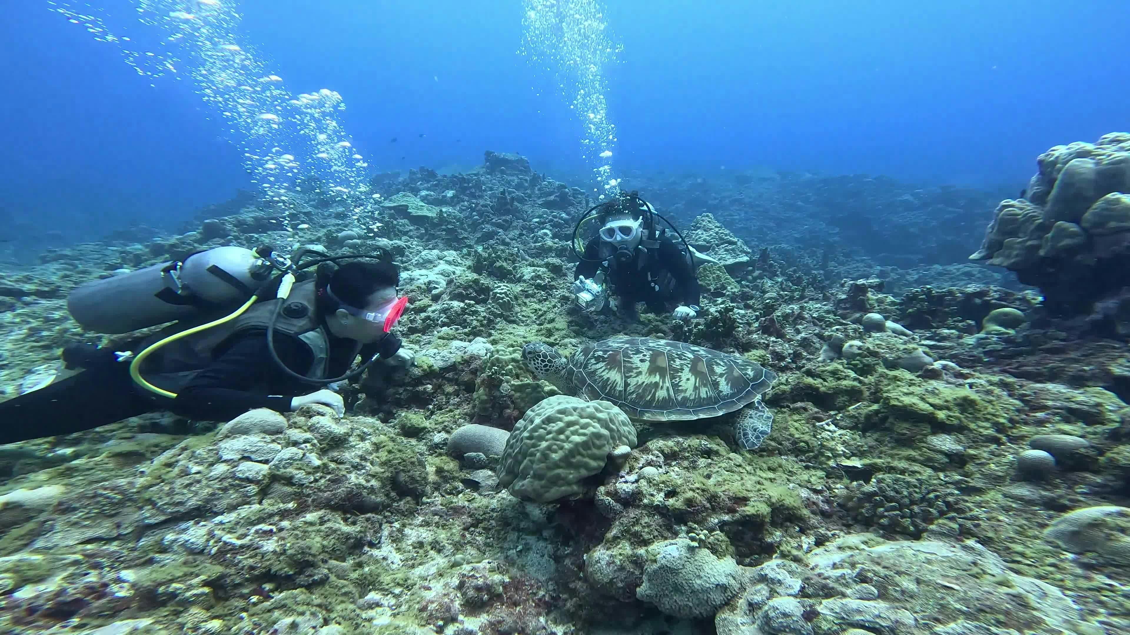 Video+Cxx Videos, Download The BEST Free 4k Stock Video Footage & Video ...