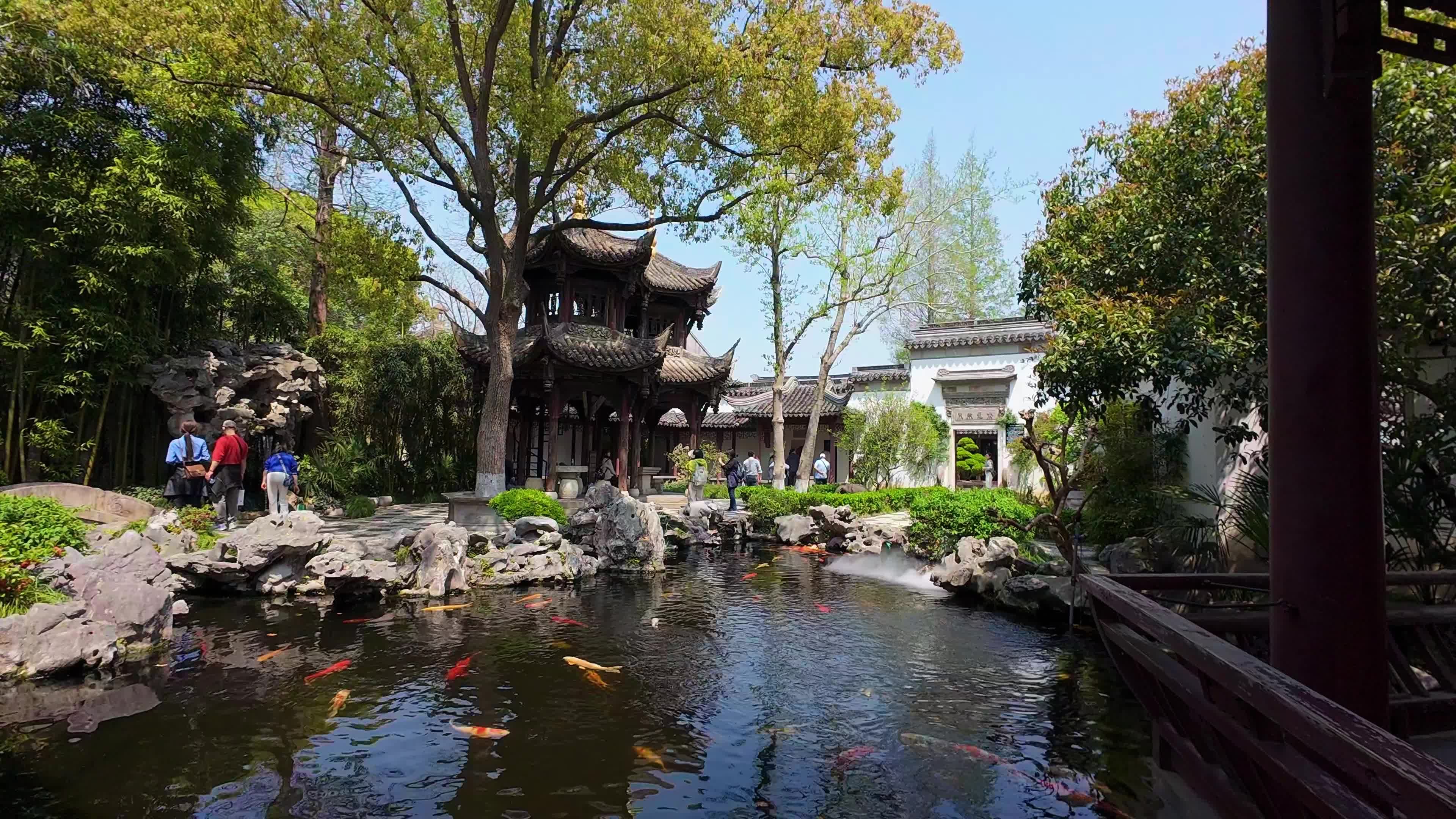 Serene Shanghai Garden with Scenic Pond View Free Stock Video Footage ...