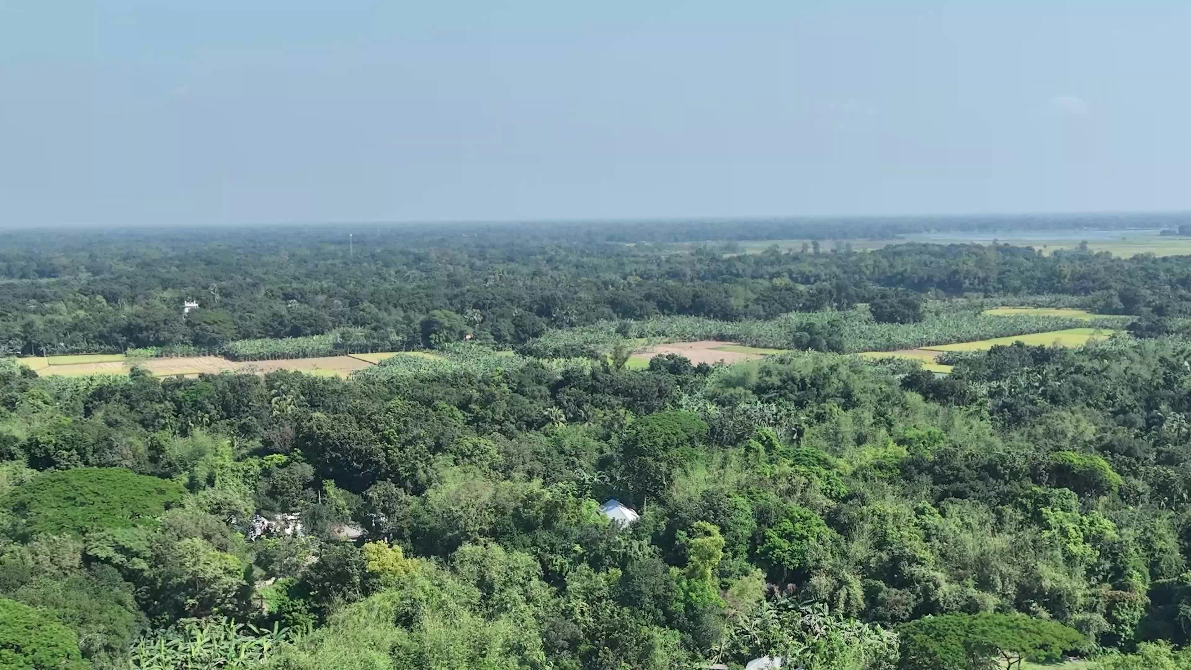 Caning+On+The+Bare+Bottom+Video Videos, Download The BEST Free 4k Stock ...