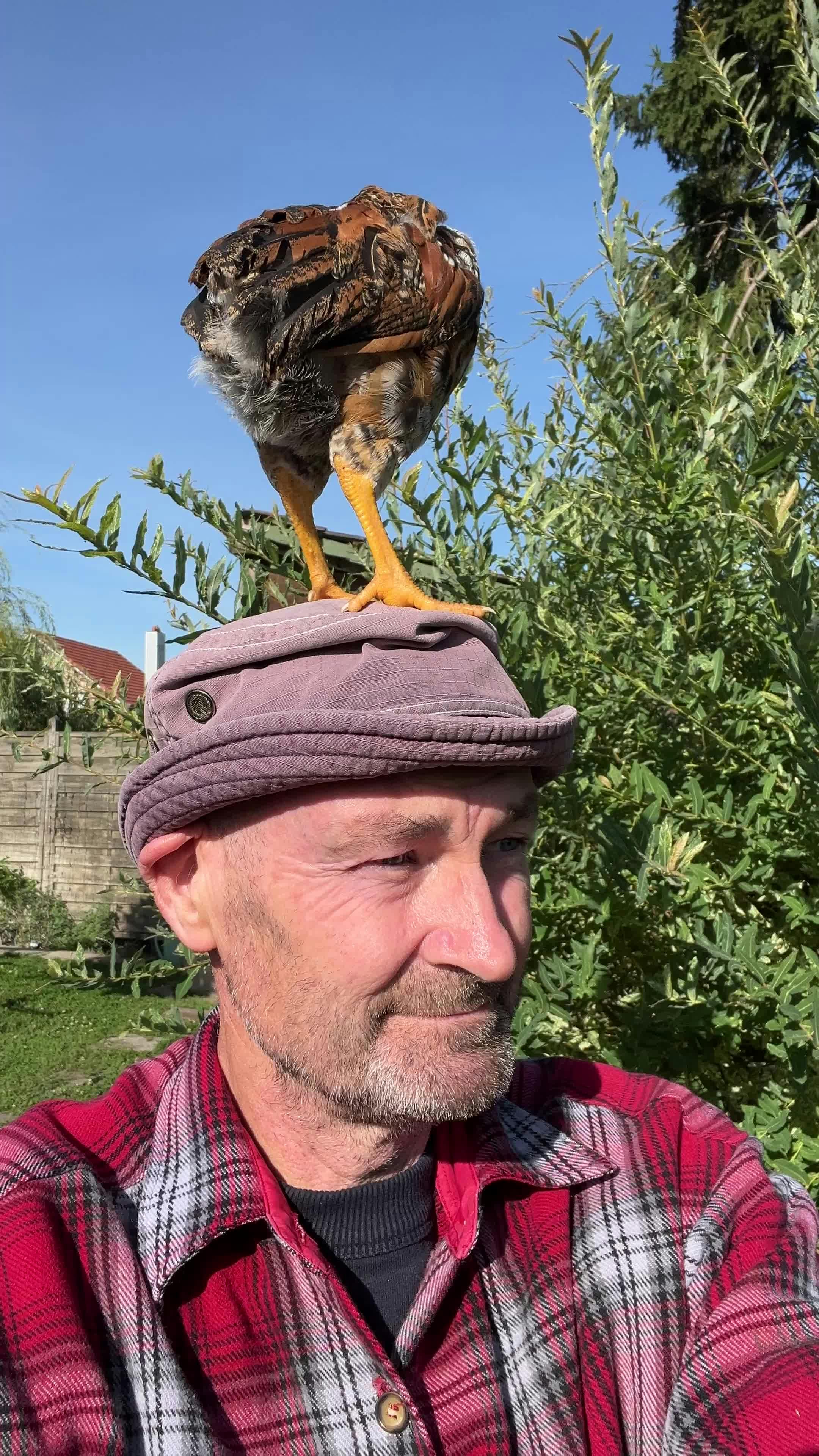 Men+Getting+Pegged+Hard Videos, Download The BEST Free 4k Stock Video ...