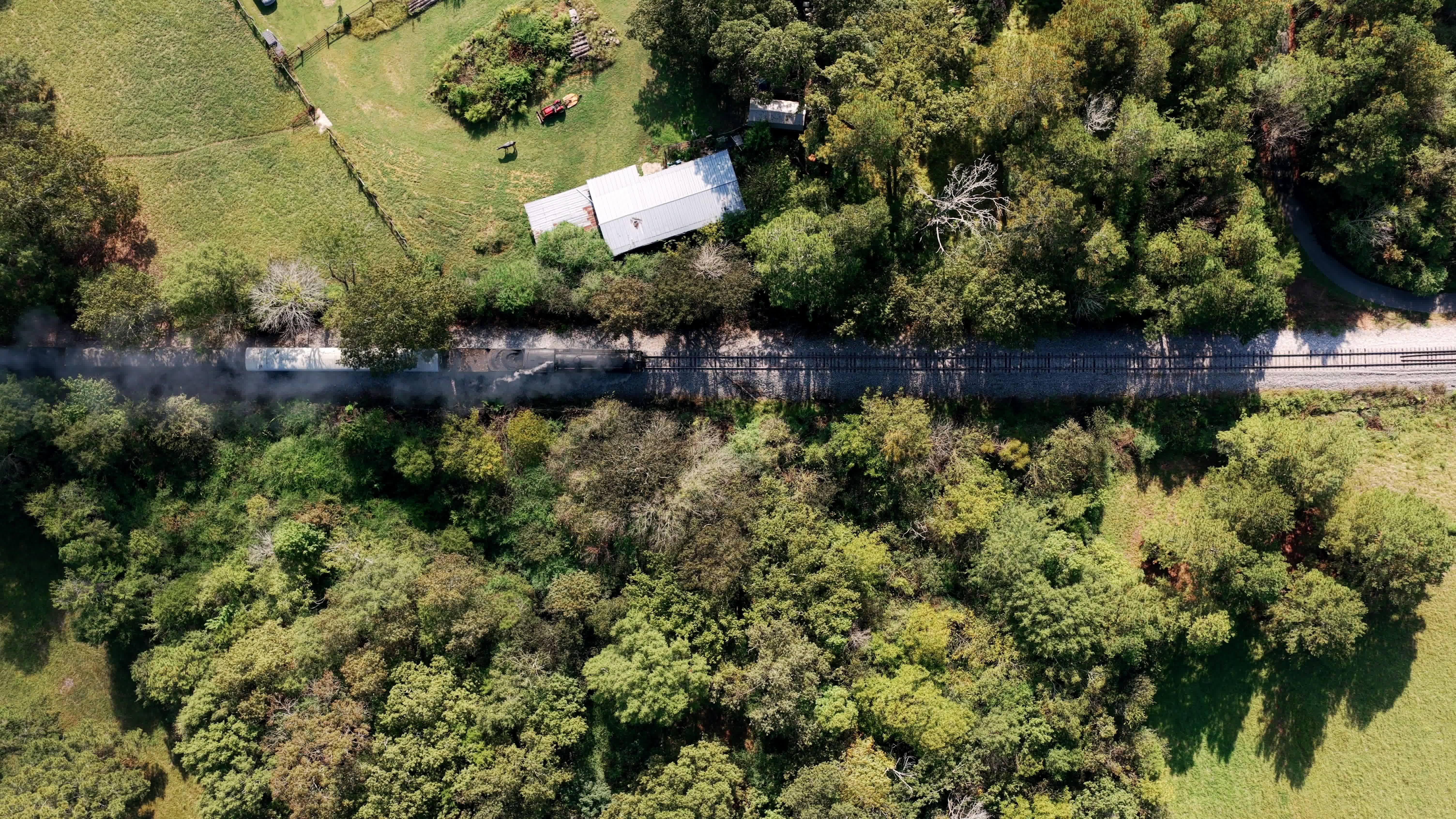 Aerial View of Train Passing Through Lush Forest Free Stock Video ...