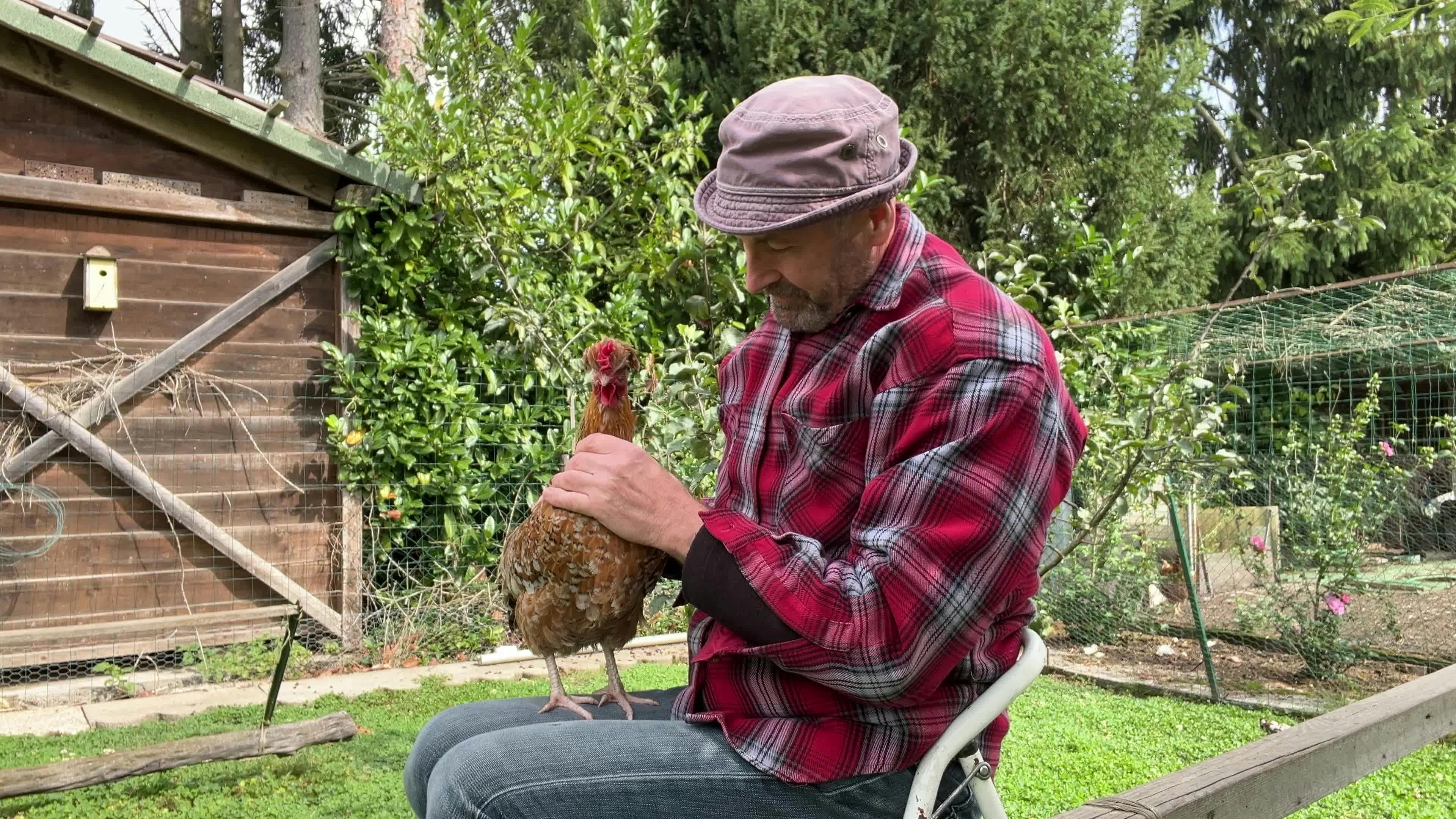 Brazilian+Face+Sitting Videos, Download The BEST Free 4k Stock Video ...