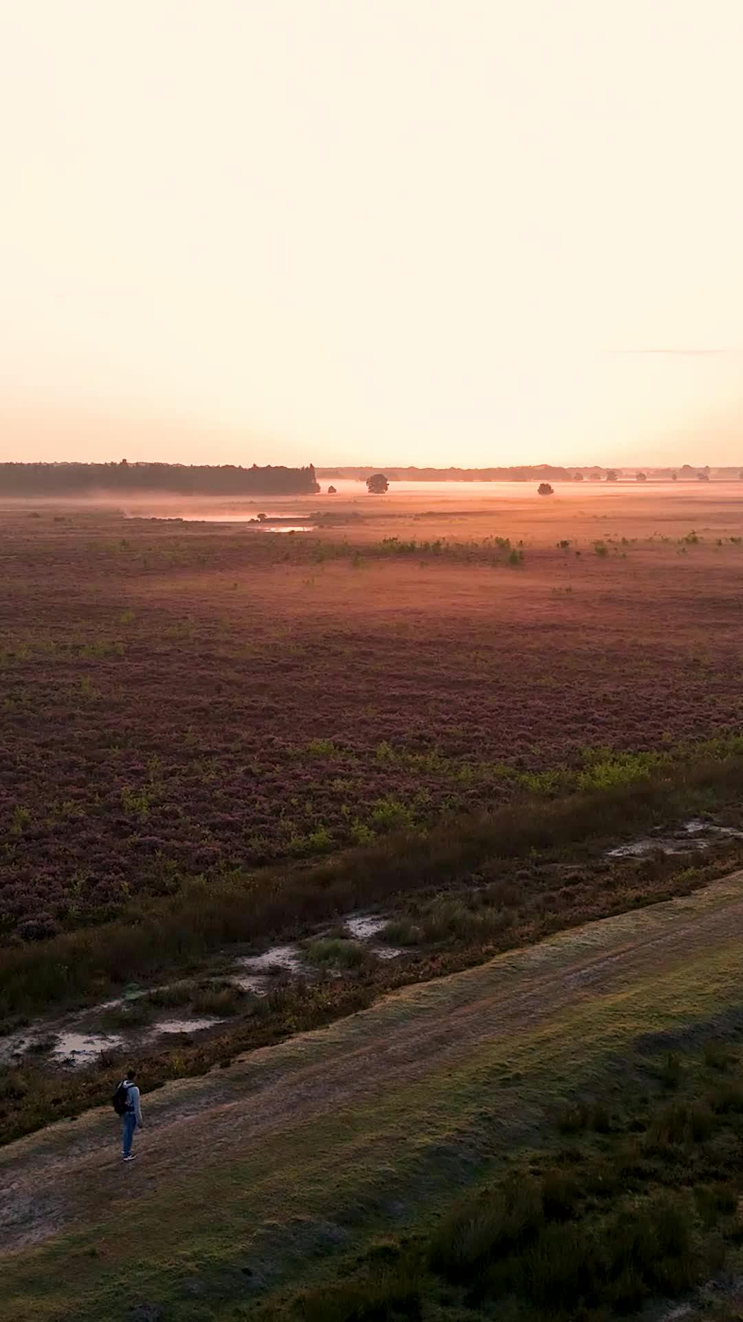 Bf+Open+Bf Videos, Download The BEST Free 4k Stock Video Footage & Bf ...