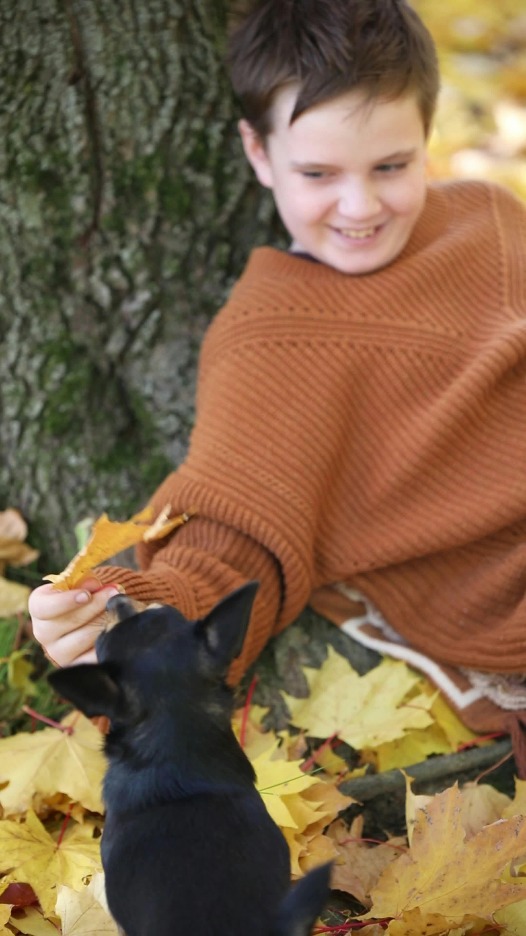 Teen+Boys+Jacking+Off Videos, Download The BEST Free 4k Stock Video ...