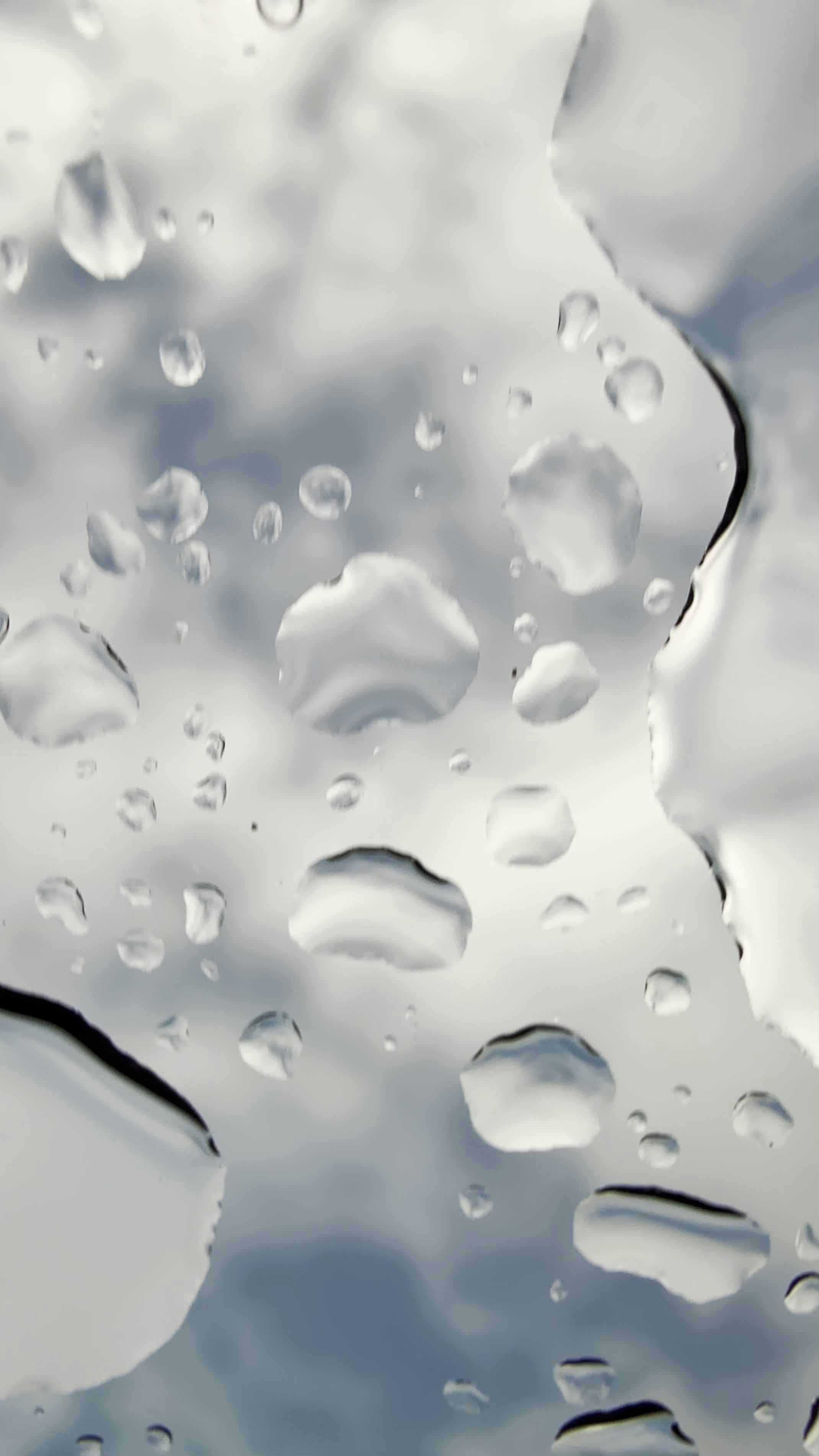 Woman+Pooping+Up+Close Videos, Download The BEST Free 4k Stock Video ...