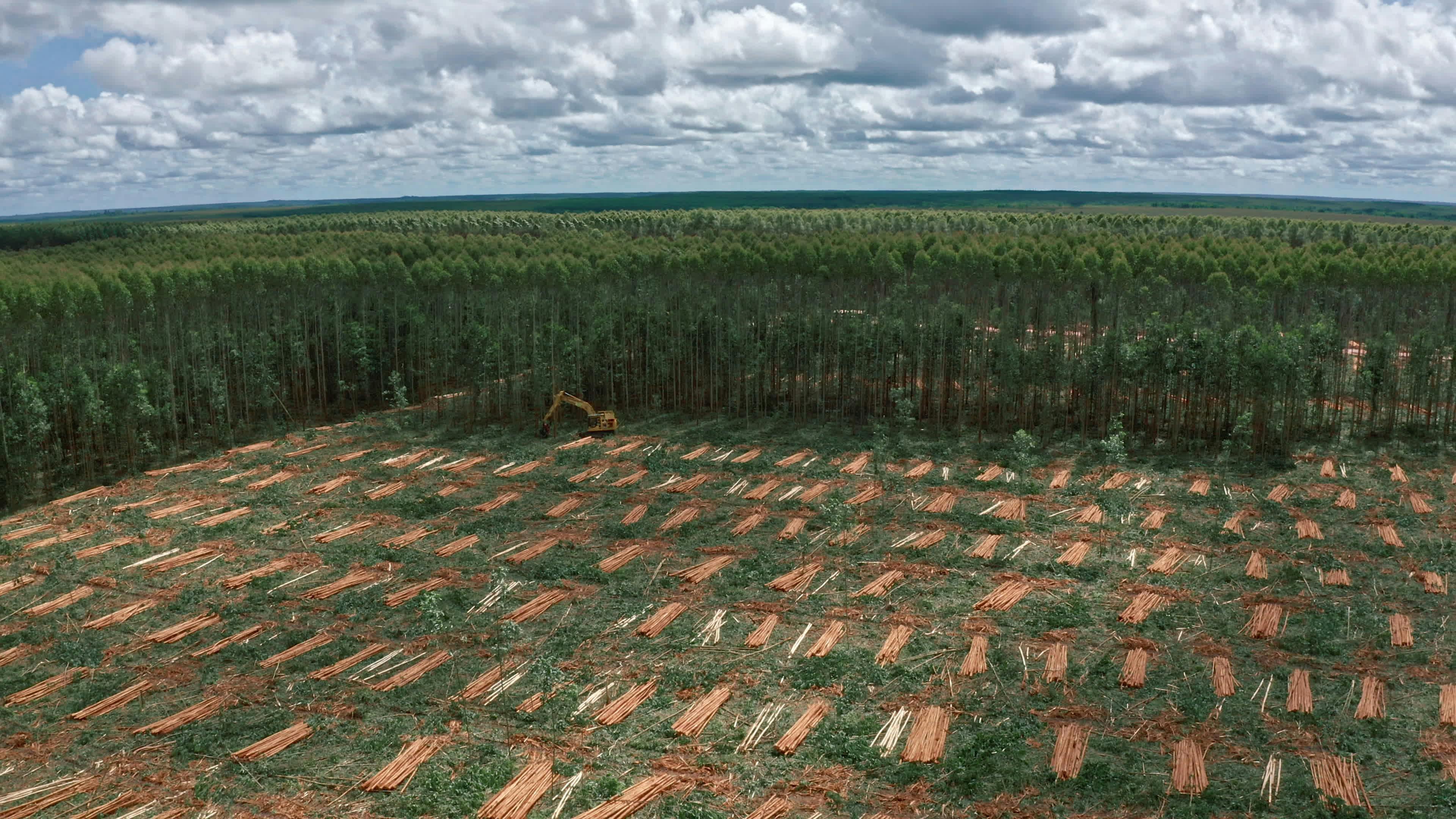 Guys+Changing+In+Locker+Room Videos, Download The BEST Free 4k Stock ...