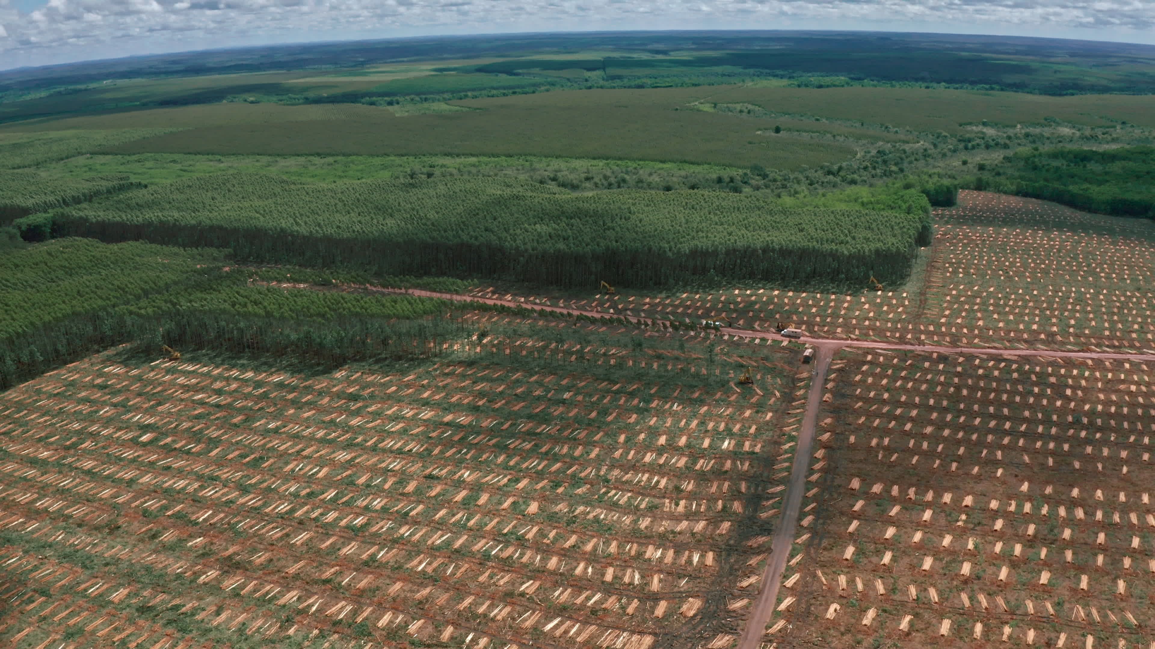 Deforestation Videos, Download The BEST Free 4k Stock Video Footage ...