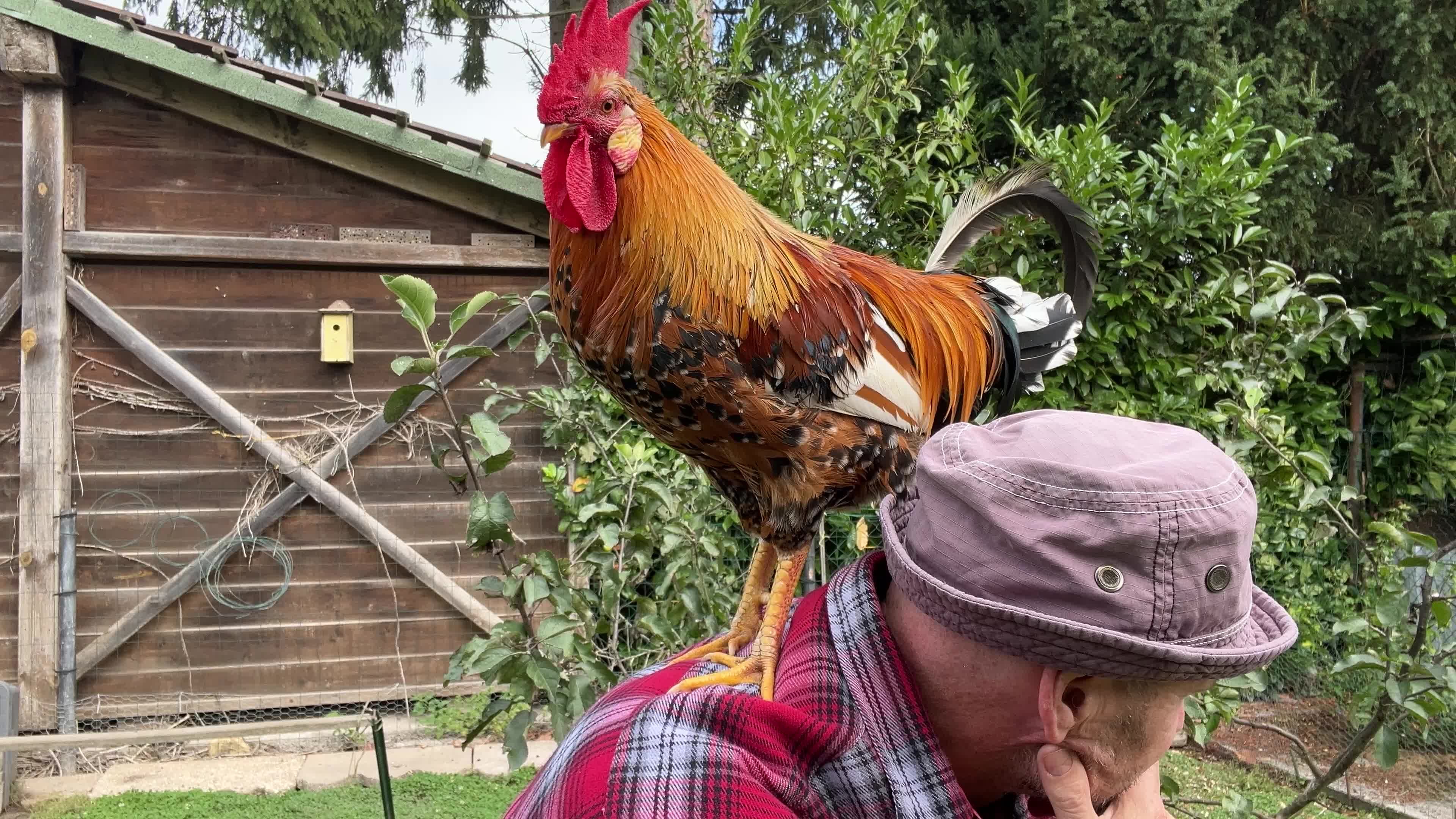 Mom Surprised By Size Of Sons Cock Videos Download The Best Free 4k Stock Video Footage And Mom