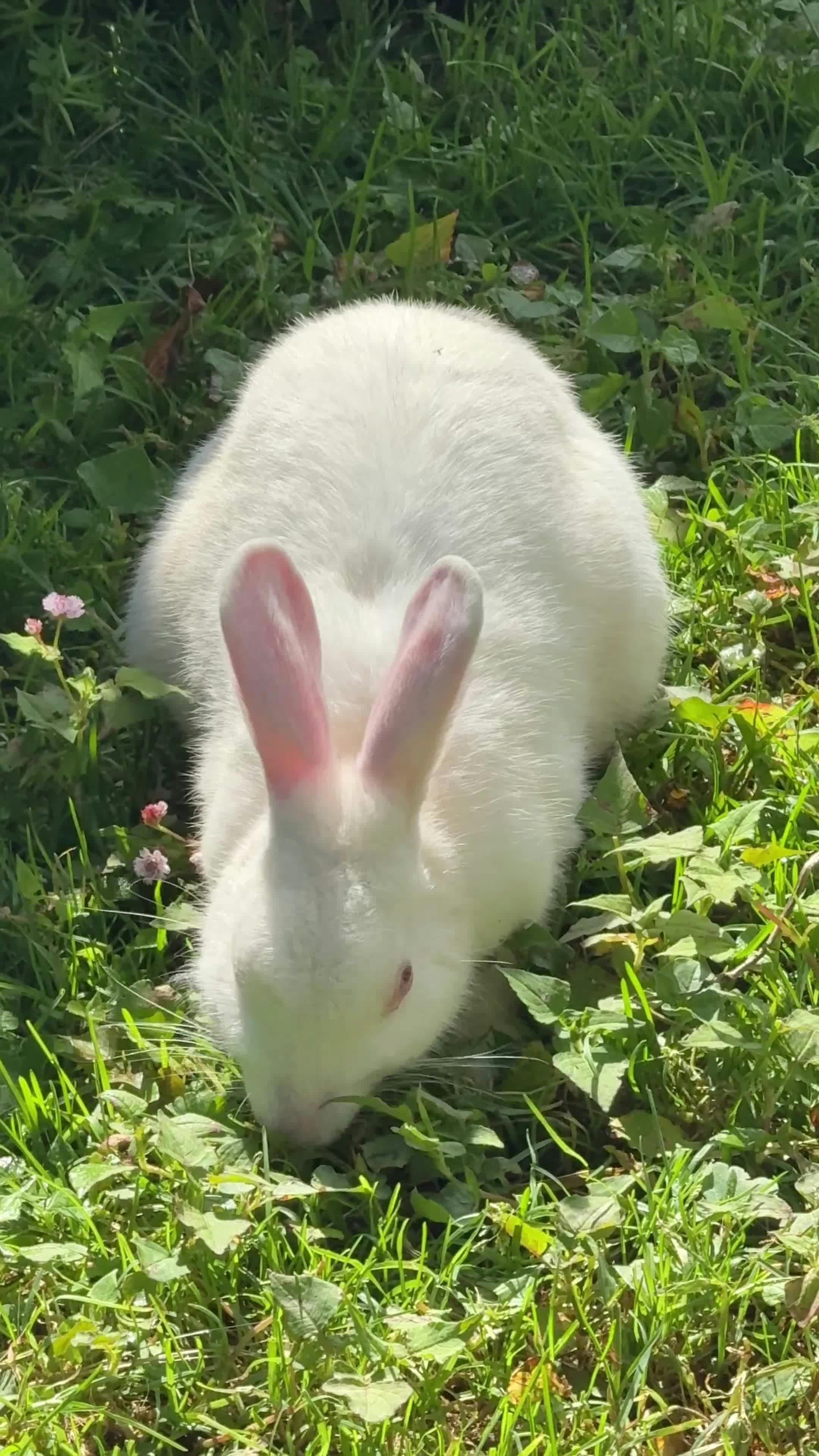 Cute+Boy+Jakol+Pinoy Videos, Download The BEST Free 4k Stock Video ...