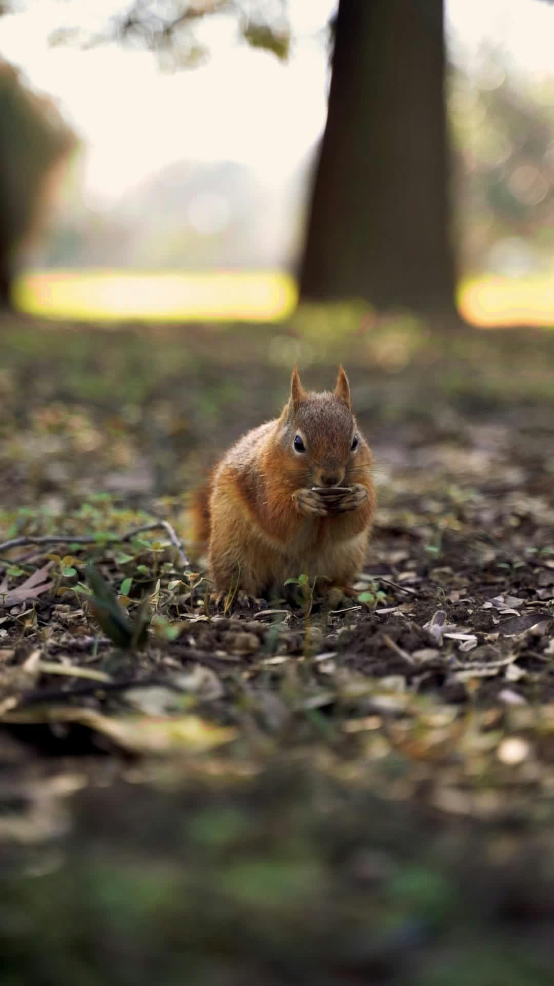 Pron Video Videos, Download The BEST Free 4k Stock Video Footage & Pron ...