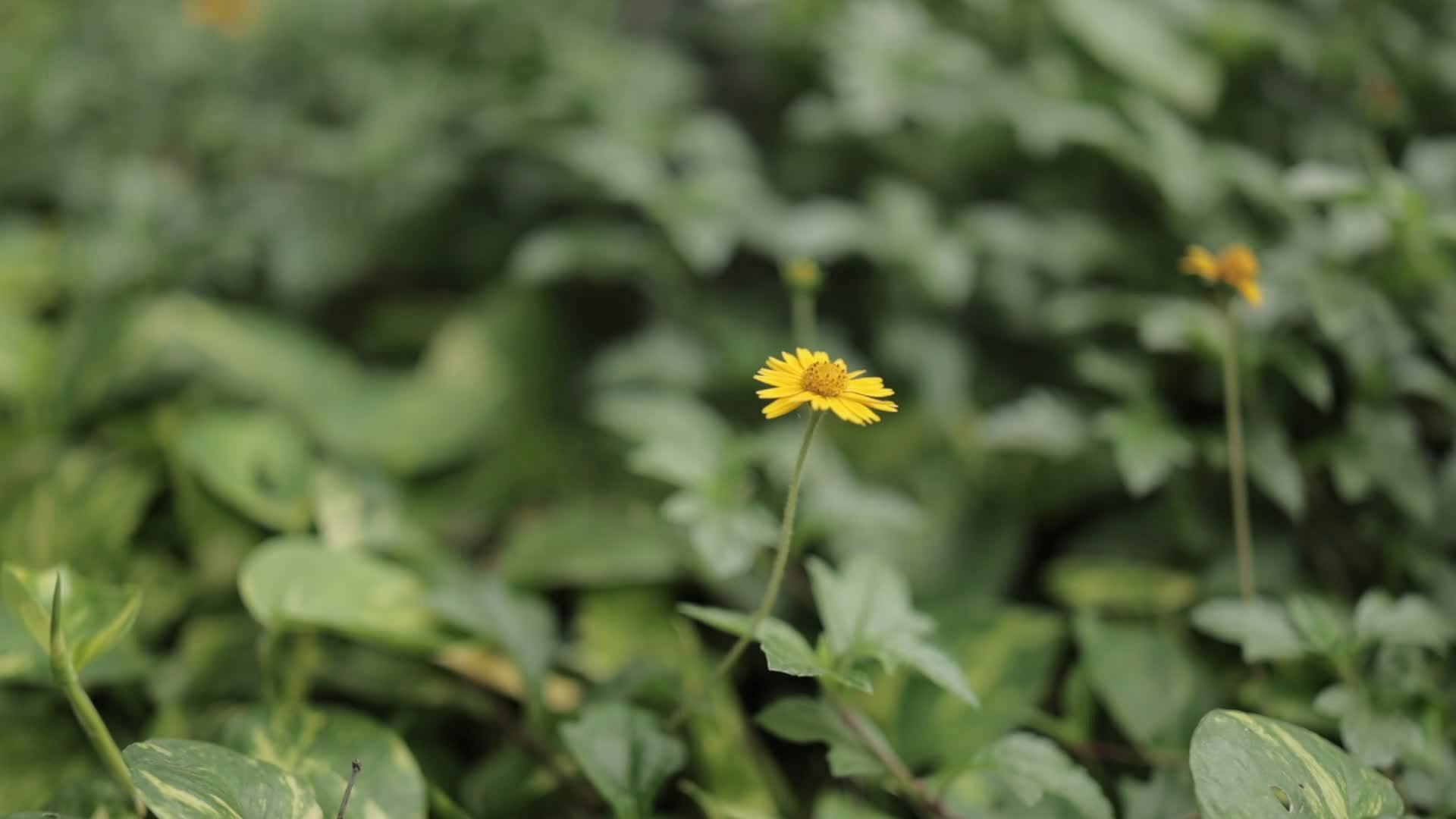 Female+Ass+Hole+Up+Close Videos, Download The BEST Free 4k Stock Video ...