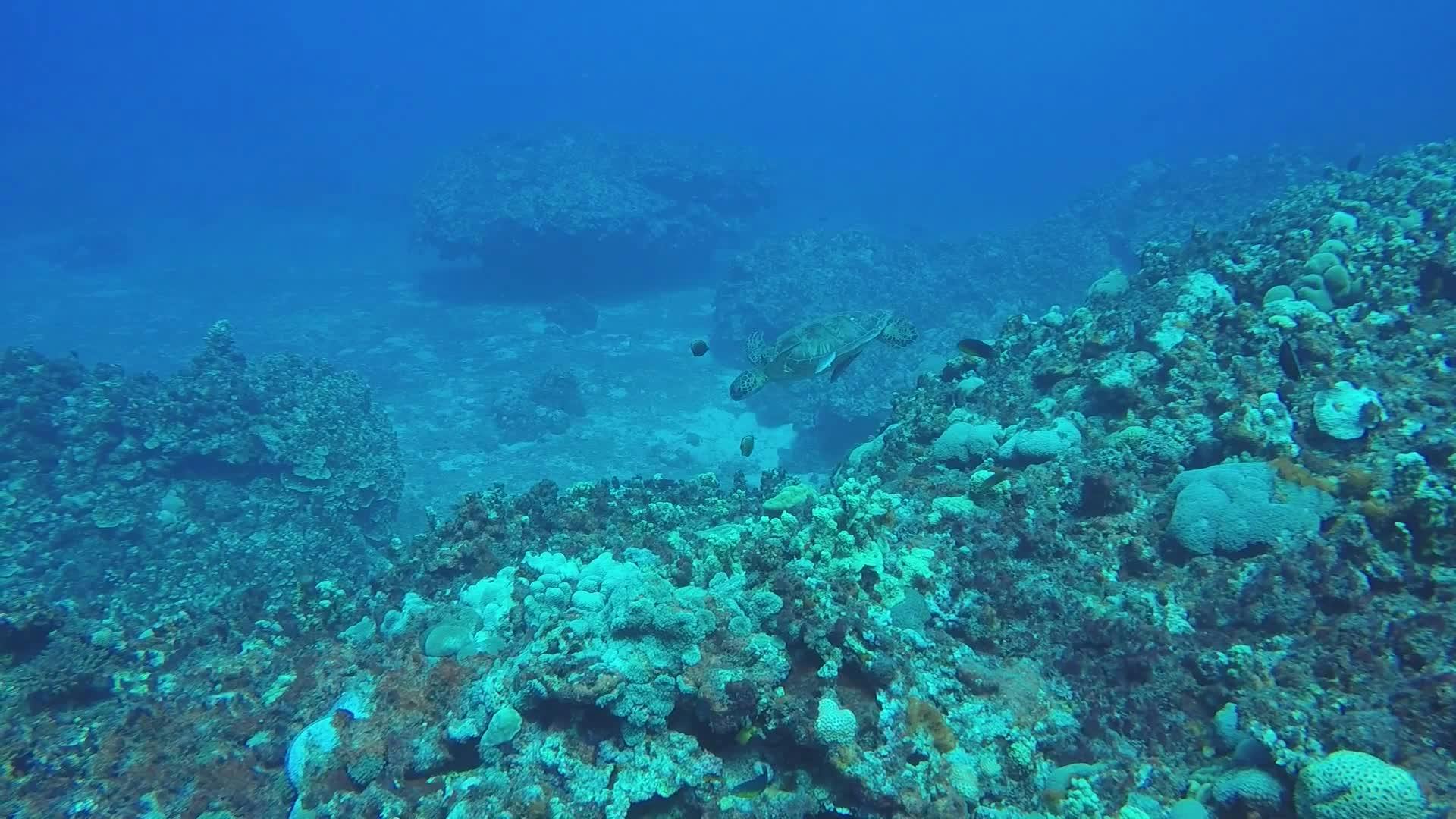 Sexy+English+Film+Bp Videos, Download The BEST Free 4k Stock Video ...