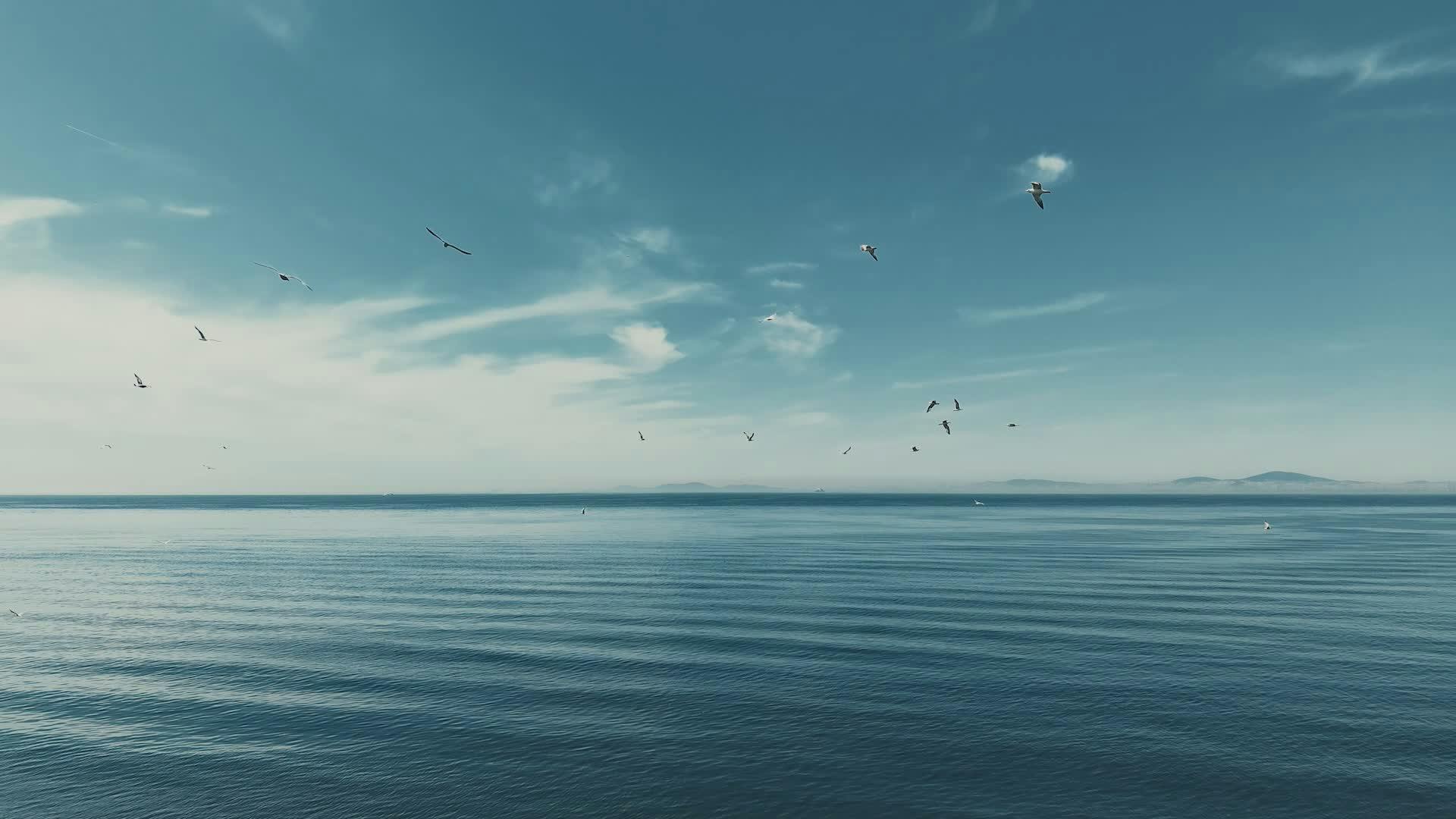 Free+Live+Wallpaper+Motion+Bgs Videos, Download The BEST Free 4k Stock ...