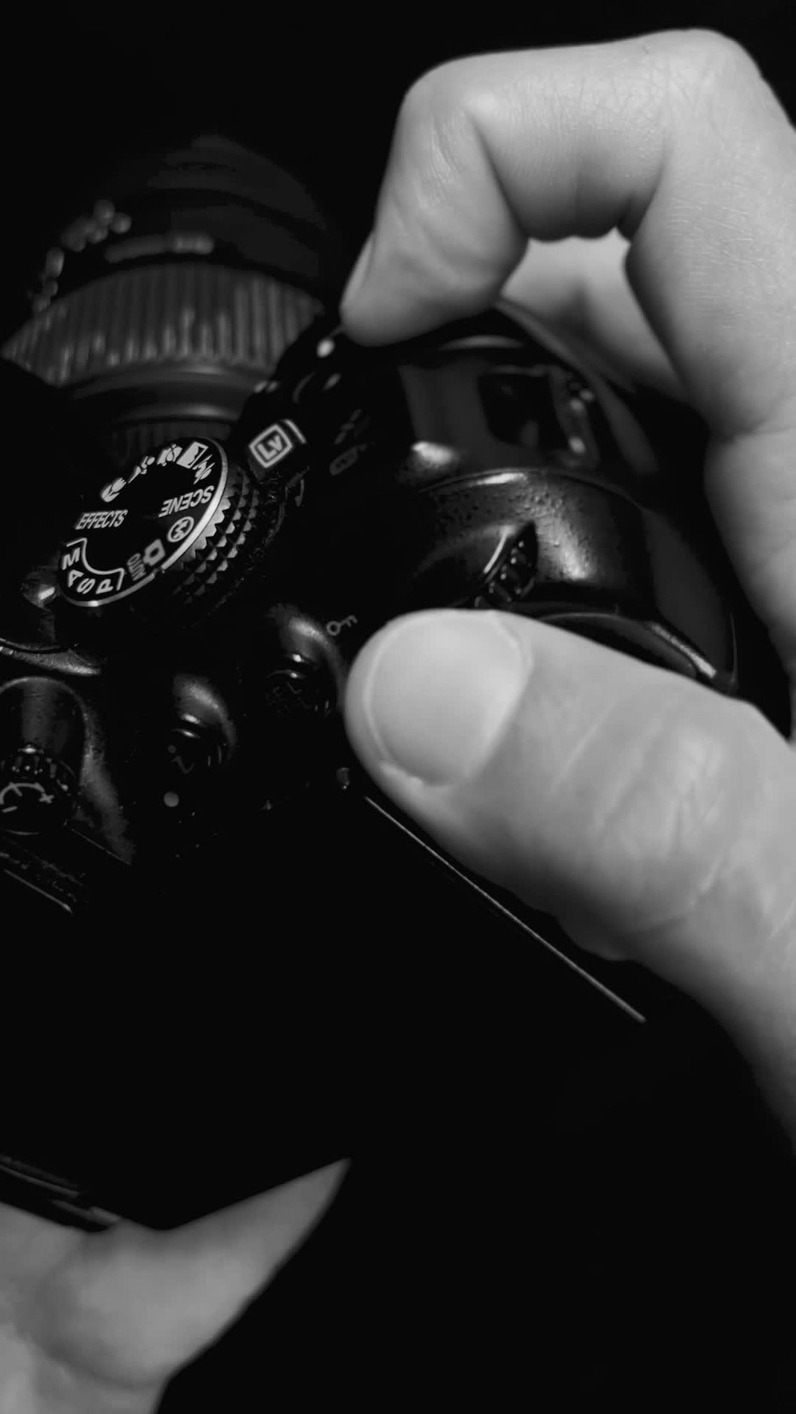 Video Placeholder Videos, Download The BEST Free 4k Stock Video Footage ...