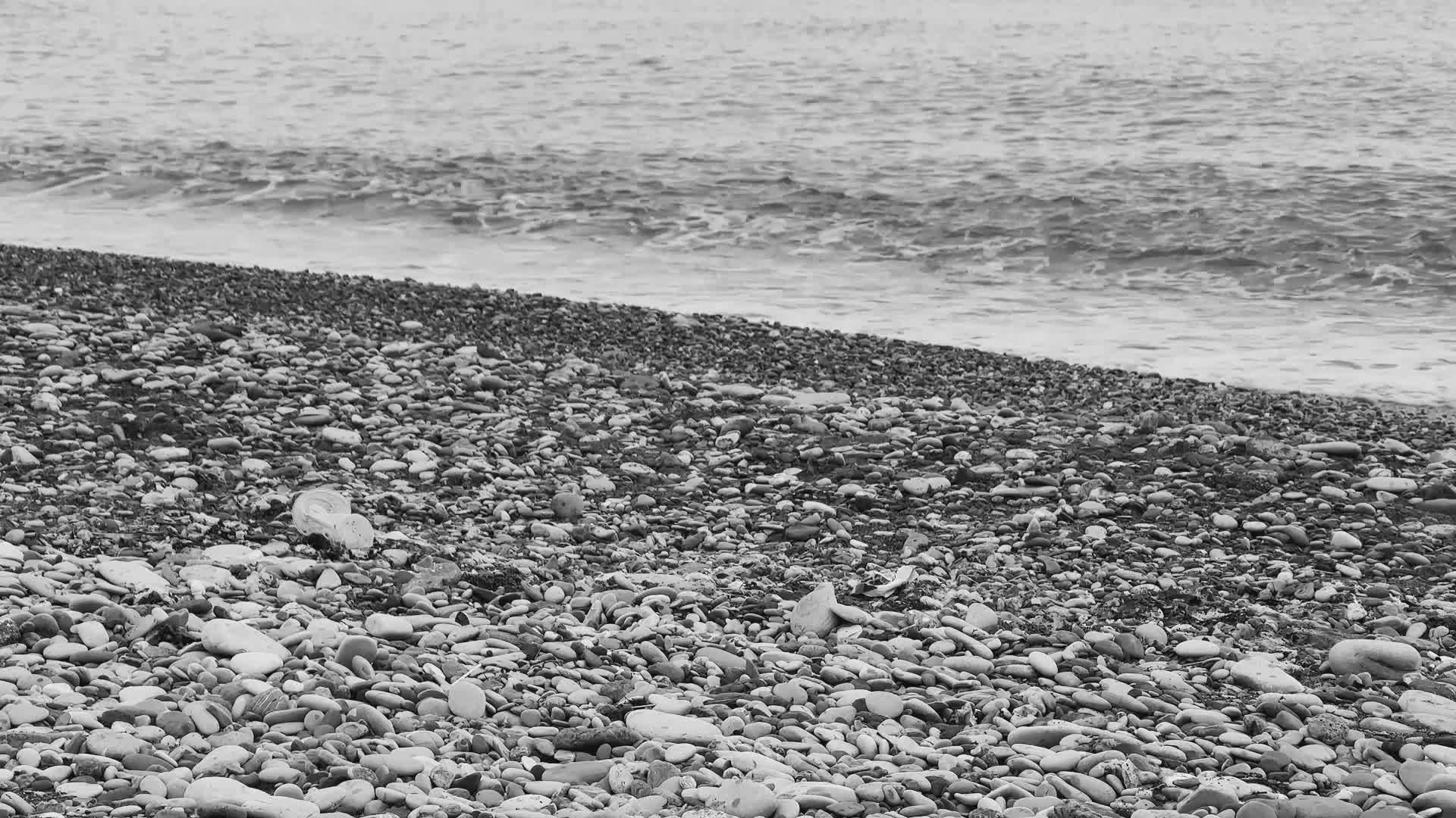 Hd+Intro Videos, Download The BEST Free 4k Stock Video Footage & Hd ...