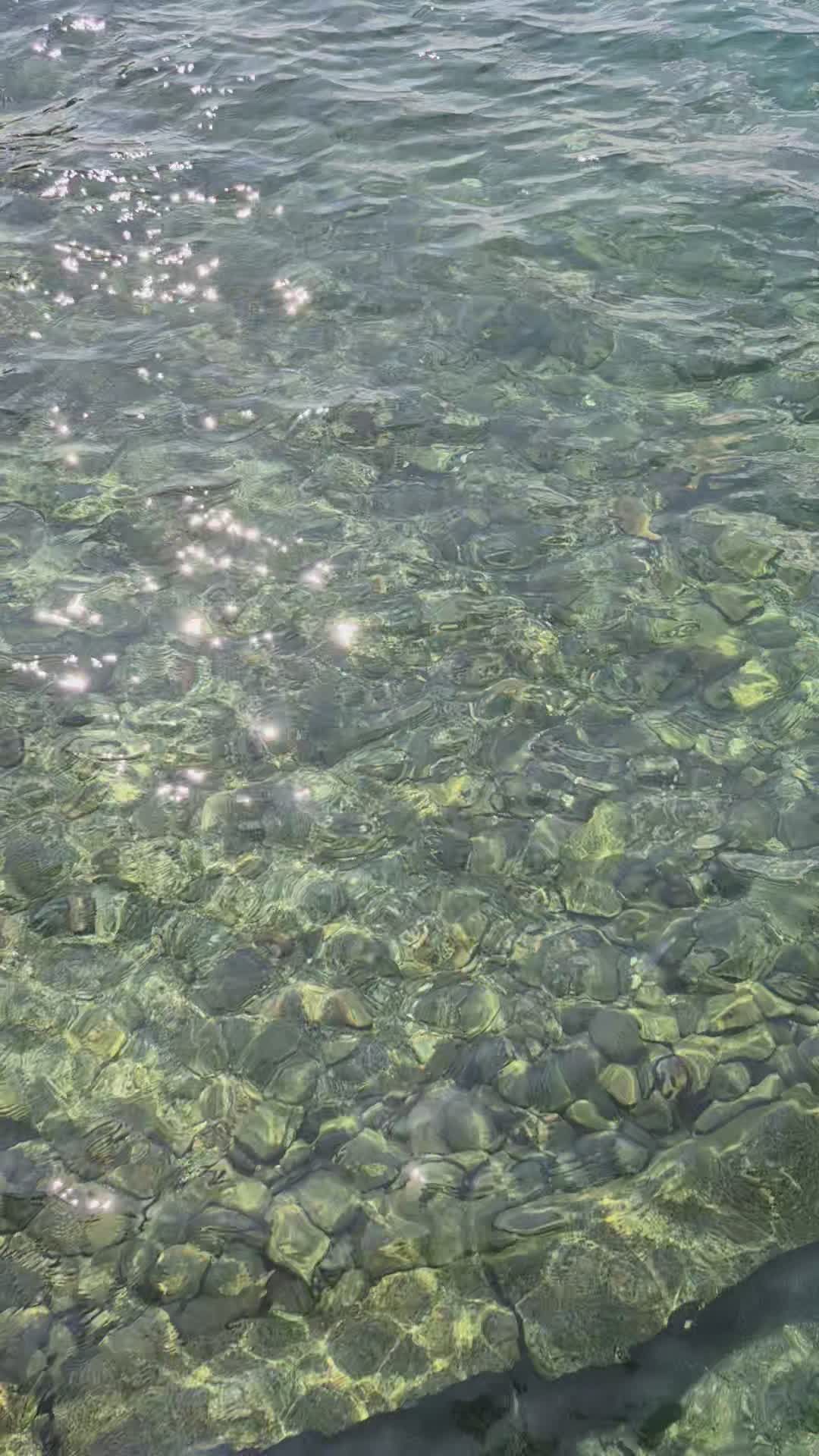 Tranquil Clear Lake Water with Sunlight Reflections Free Stock Video ...