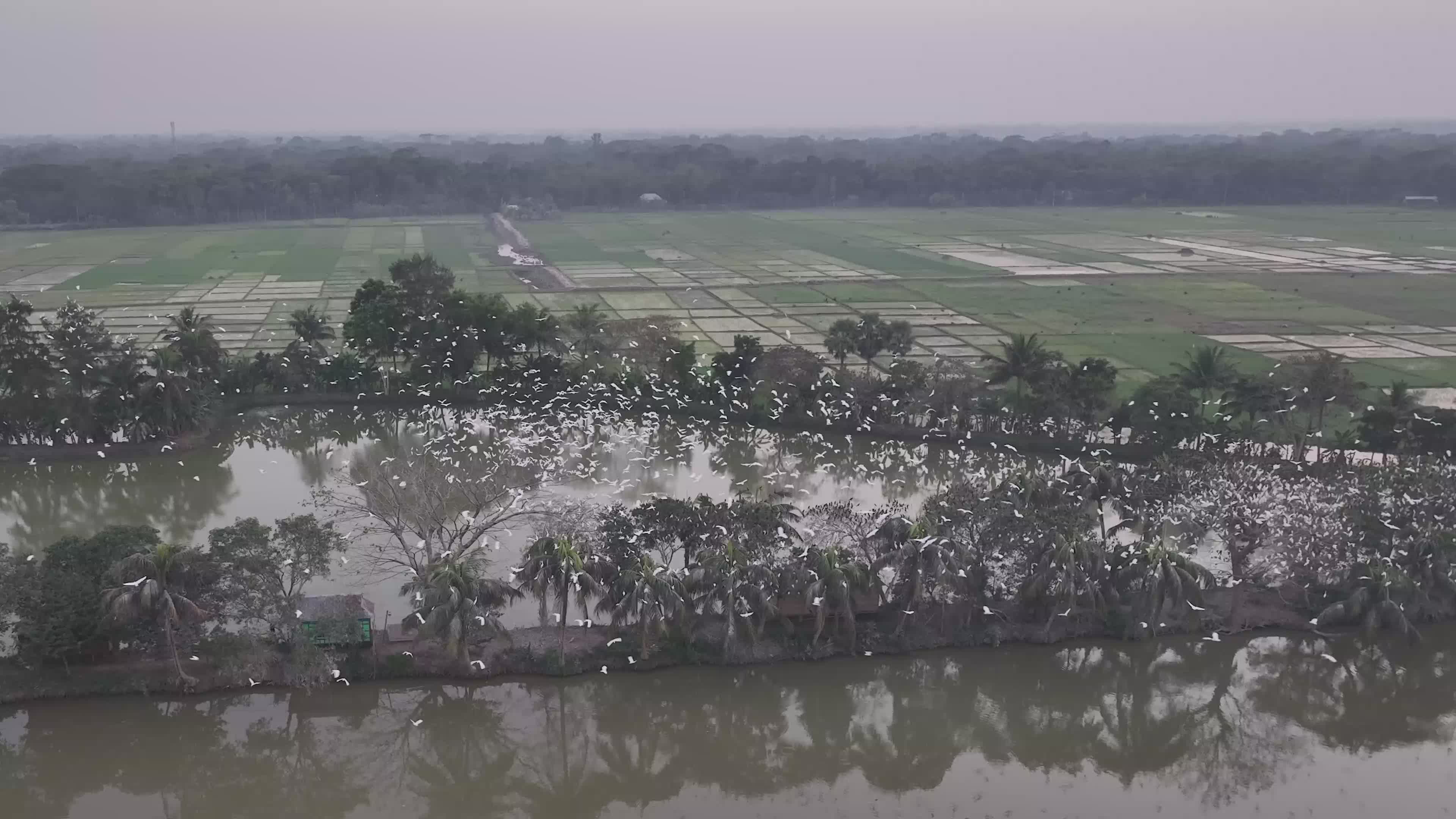 Aan Un Bengal Videos, Download The BEST Free 4k Stock Video Footage ...
