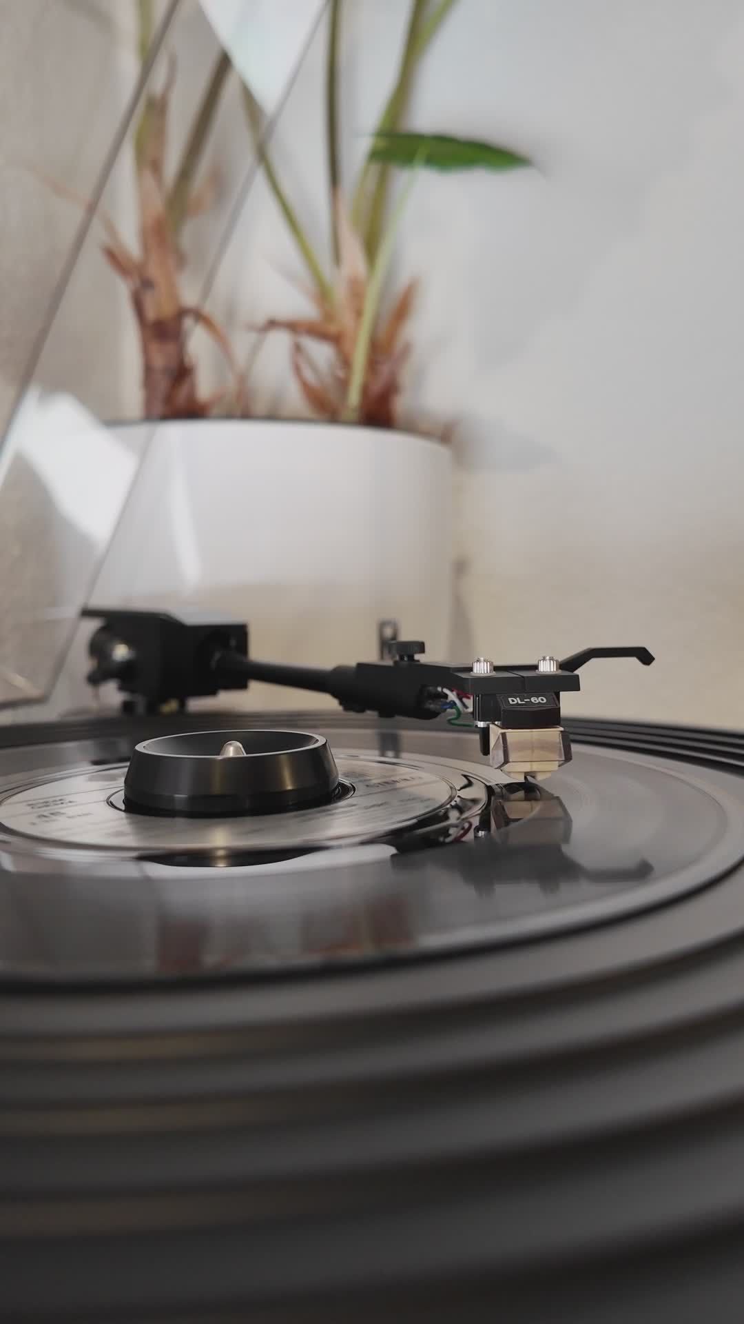 Close-Up of Vinyl Record Spinning on Turntable Free Stock Video Footage ...