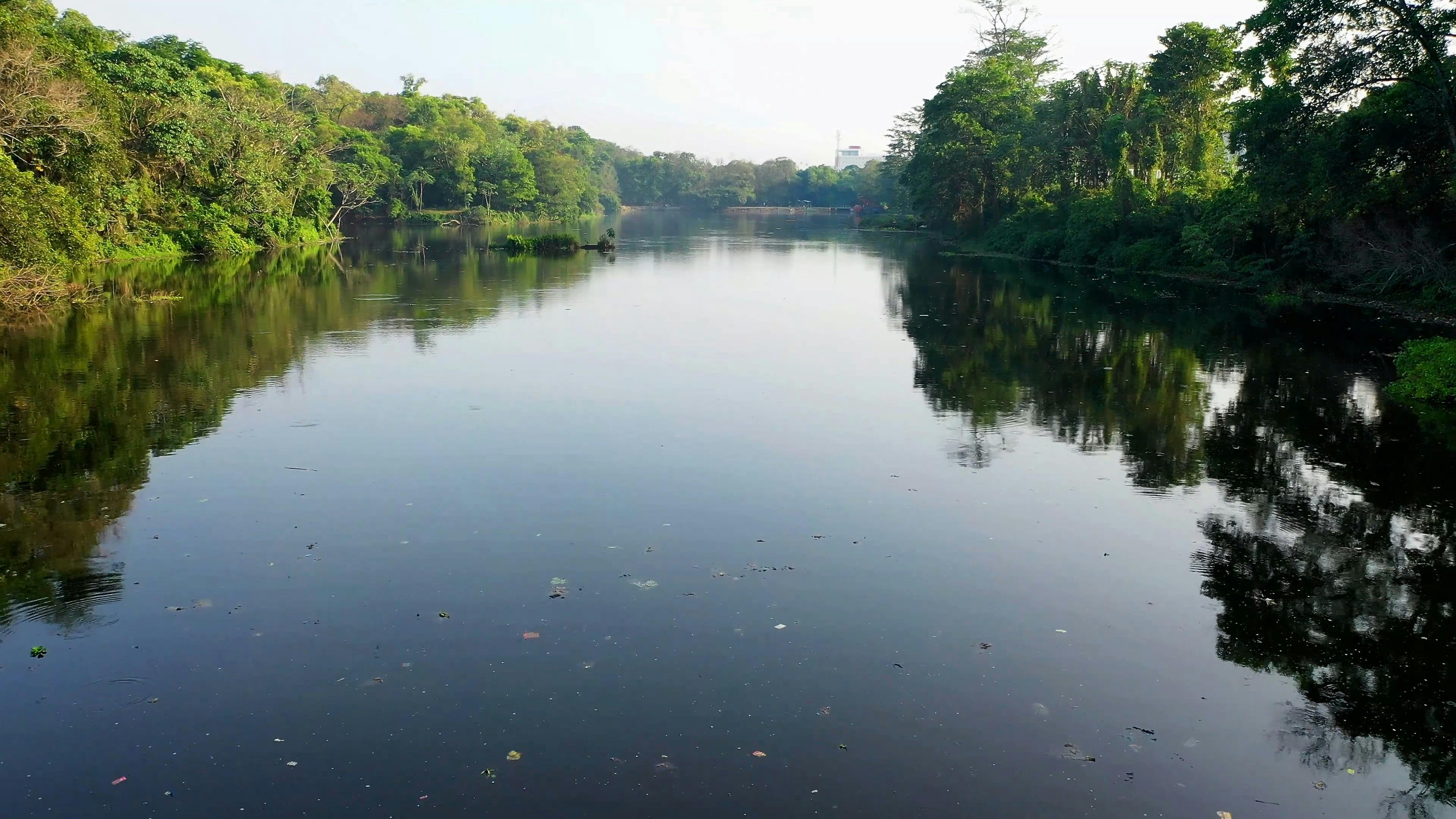 A Lake Dam Constructed On An Urban Forest · Free Stock Video