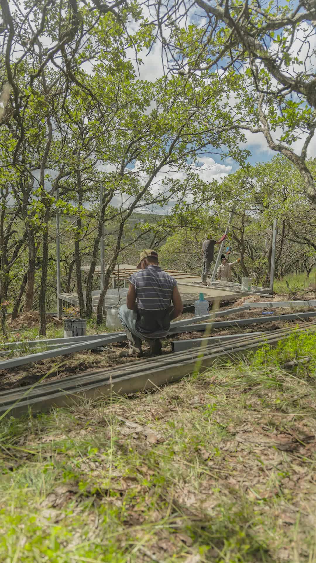 Outdoor Electrical Line Construction in Forest Free Stock Video Footage ...