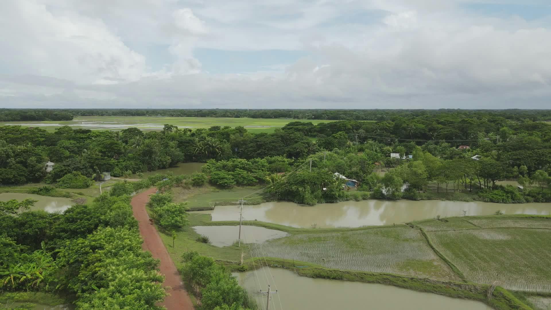 Aerial View of Patuakhali's Lush Landscape Free Stock Video Footage, Royalty-Free 4K & HD Video Clip