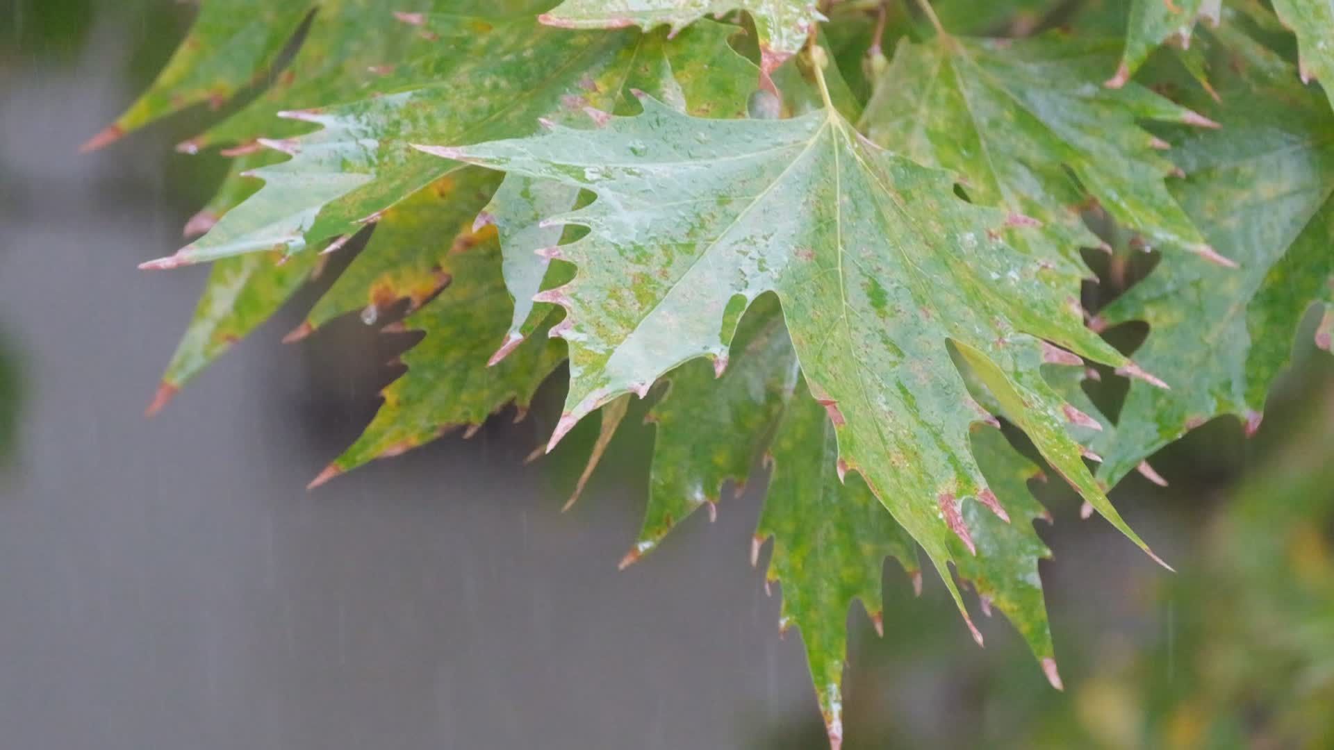 Xxxxxxxxxxx+Hd Videos, Download The BEST Free 4k Stock Video Footage ...