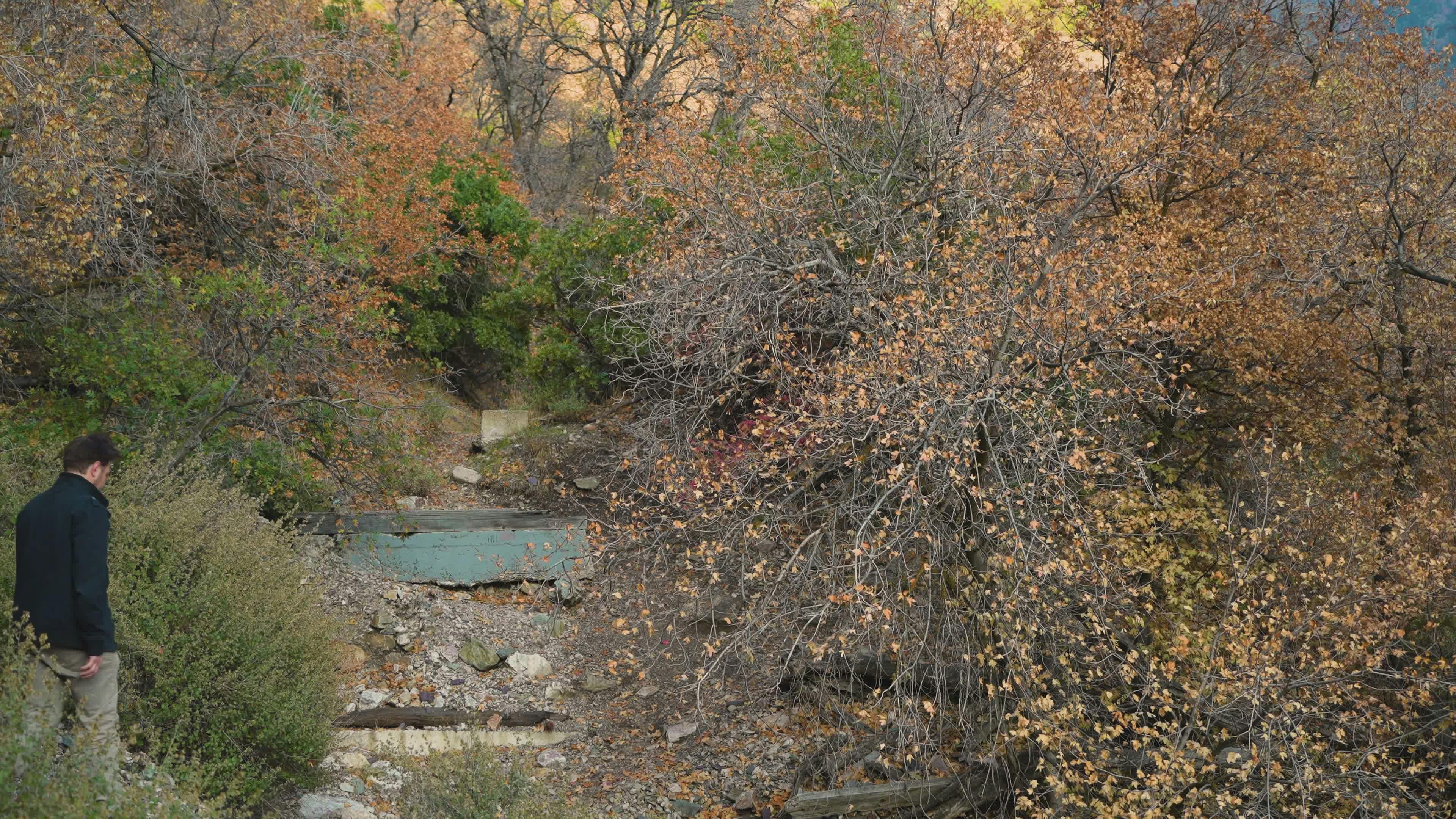 Autumn Hike through Wasatch National Forest Free Stock Video Footage ...
