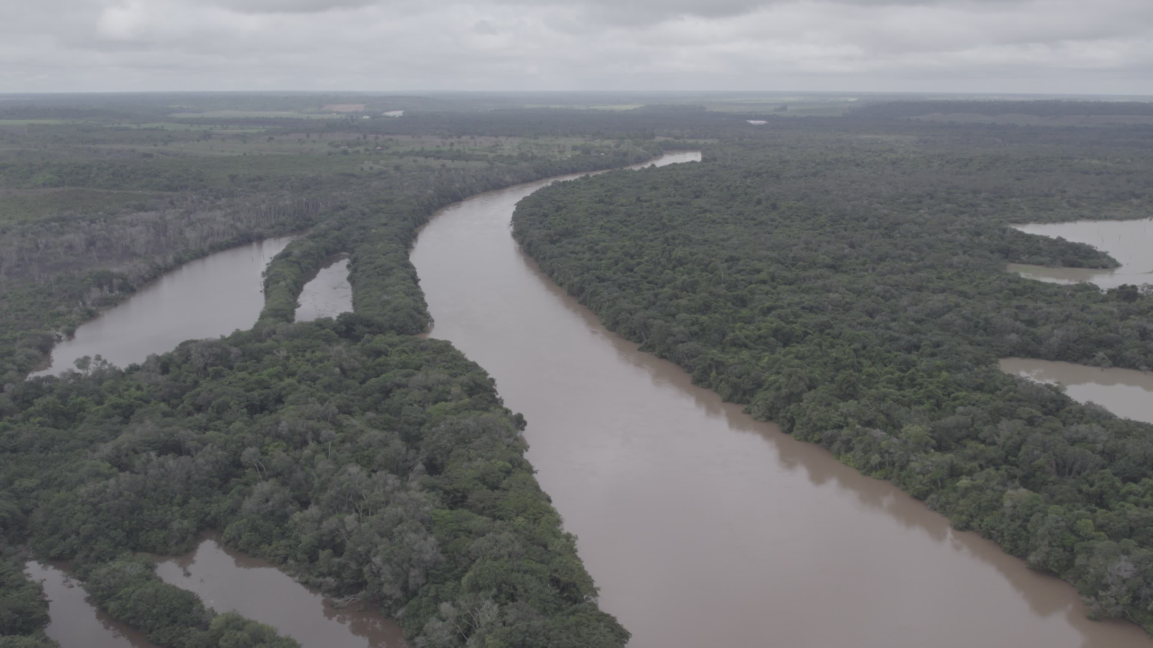 Aerial View of Amazon River Bend Free Stock Video Footage, Royalty-Free ...