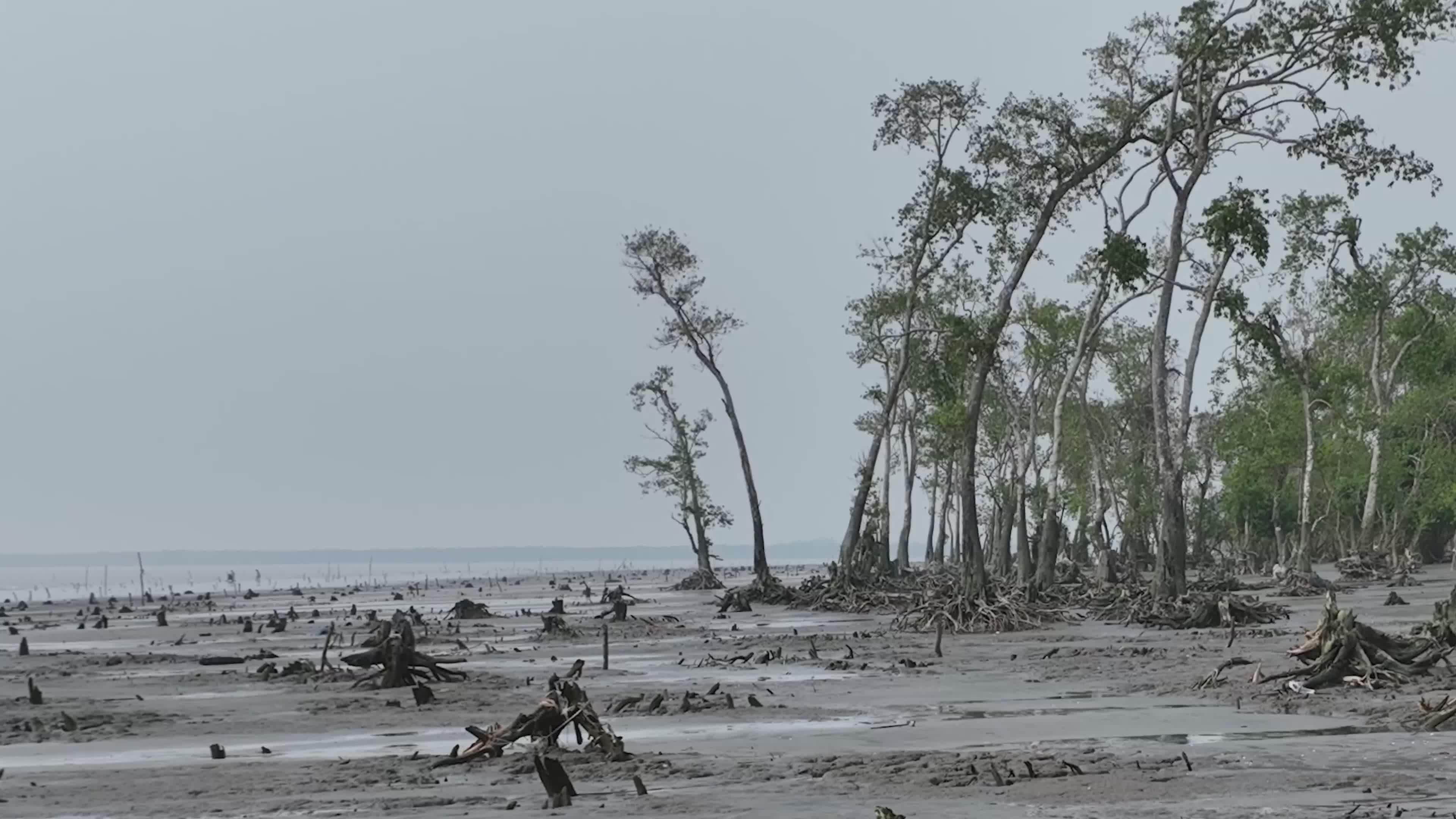 Tranquil Scene of Kuakata Sea Beach Free Stock Video Footage, Royalty ...