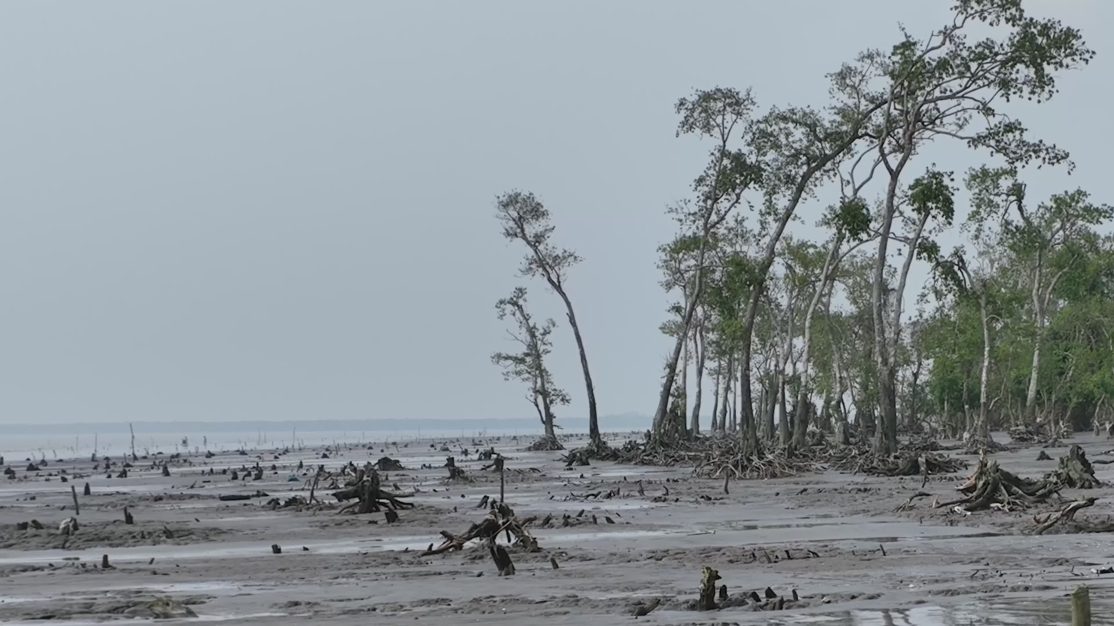 Tranquil Scene of Kuakata Sea Beach Free Stock Video Footage, Royalty ...