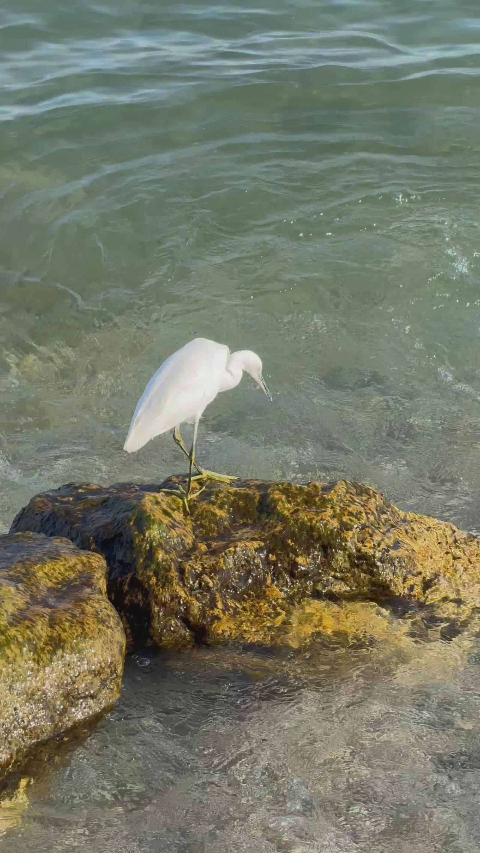 Little+Innocent+Taboo Videos, Download The BEST Free 4k Stock Video ...