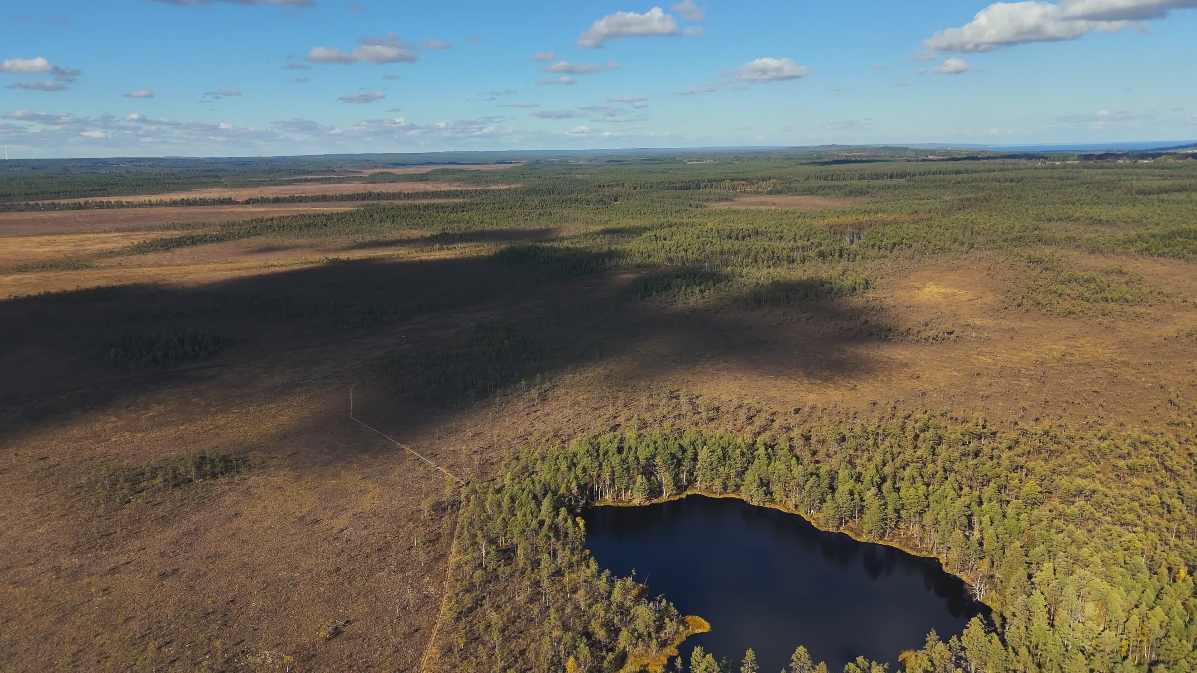 Stunning Aerial View of Swedish Forest Landscape Free Stock Video ...