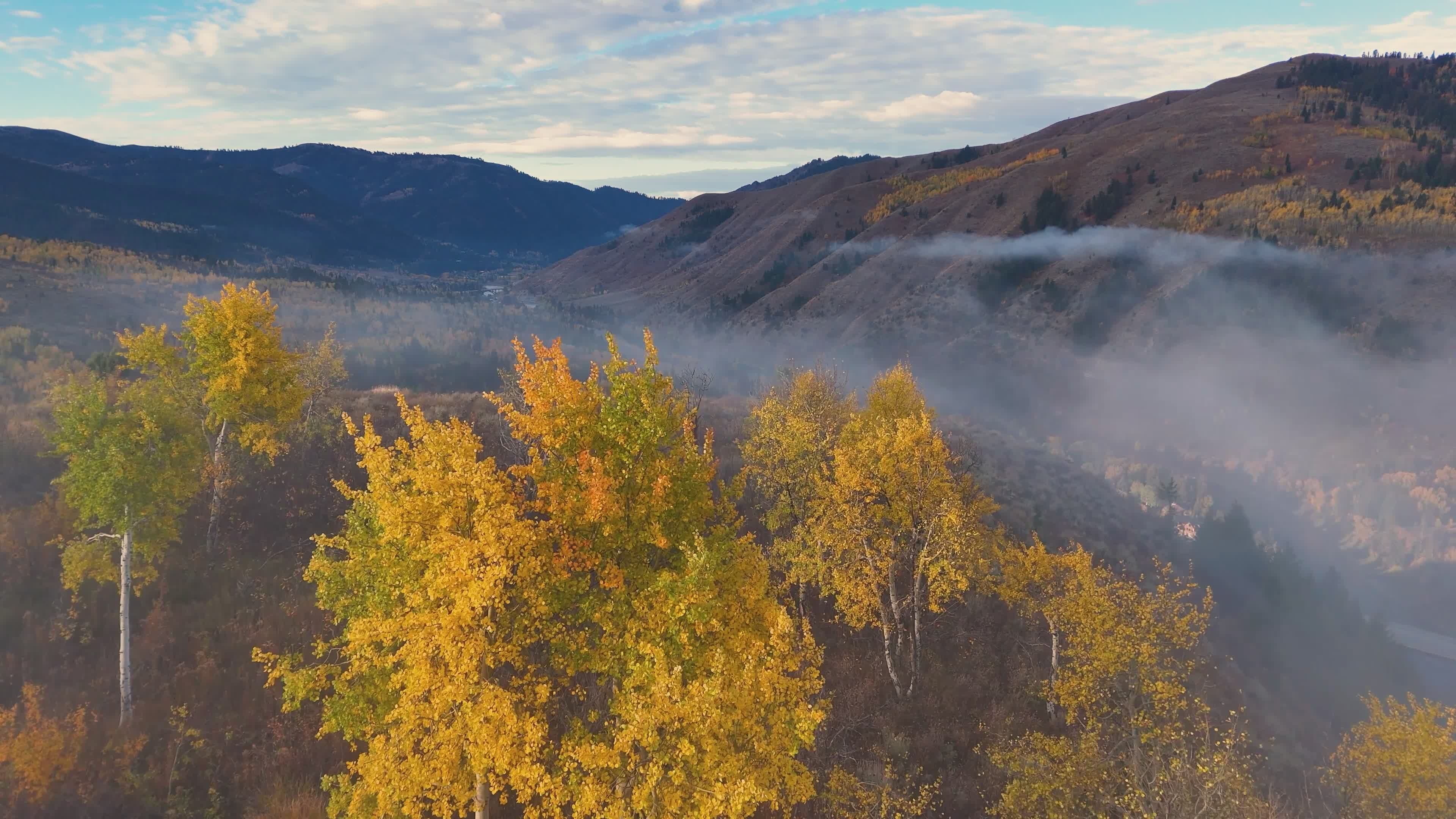 Scenic Autumn Landscape in Jackson Hole Free Stock Video Footage ...