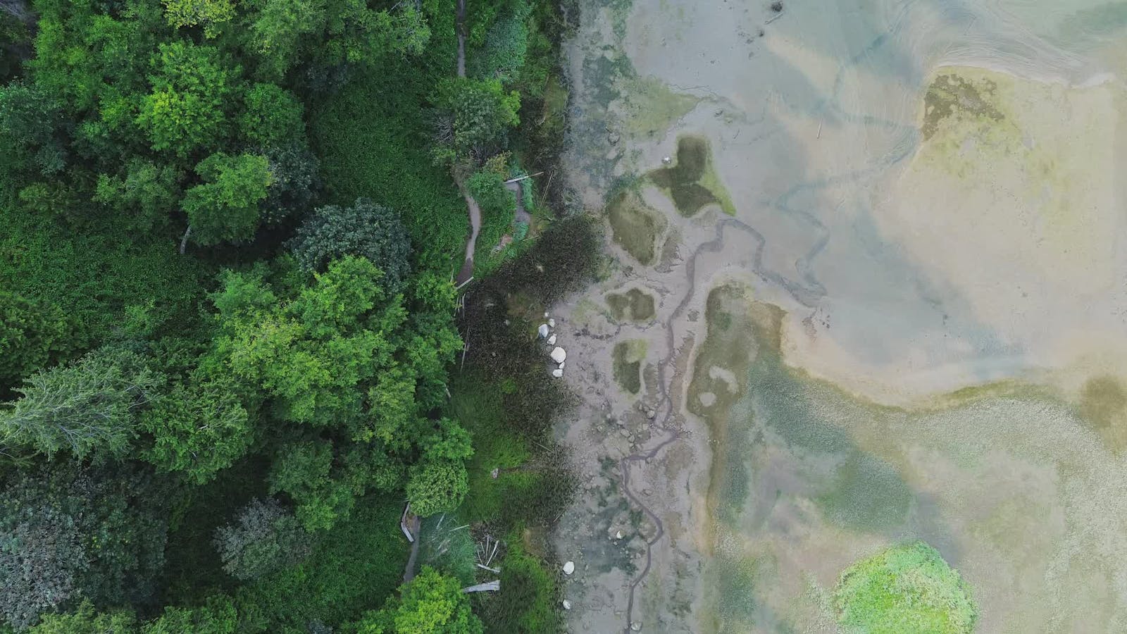 Pron Video Videos, Download The BEST Free 4k Stock Video Footage & Pron ...