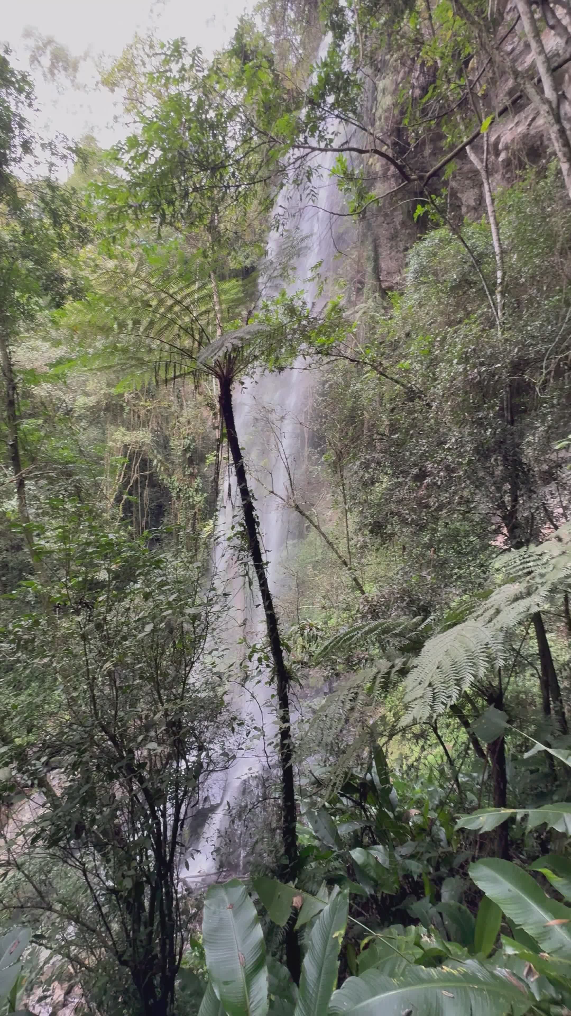 Scenic Waterfall Walkthrough in Tropical Forest Free Stock Video ...