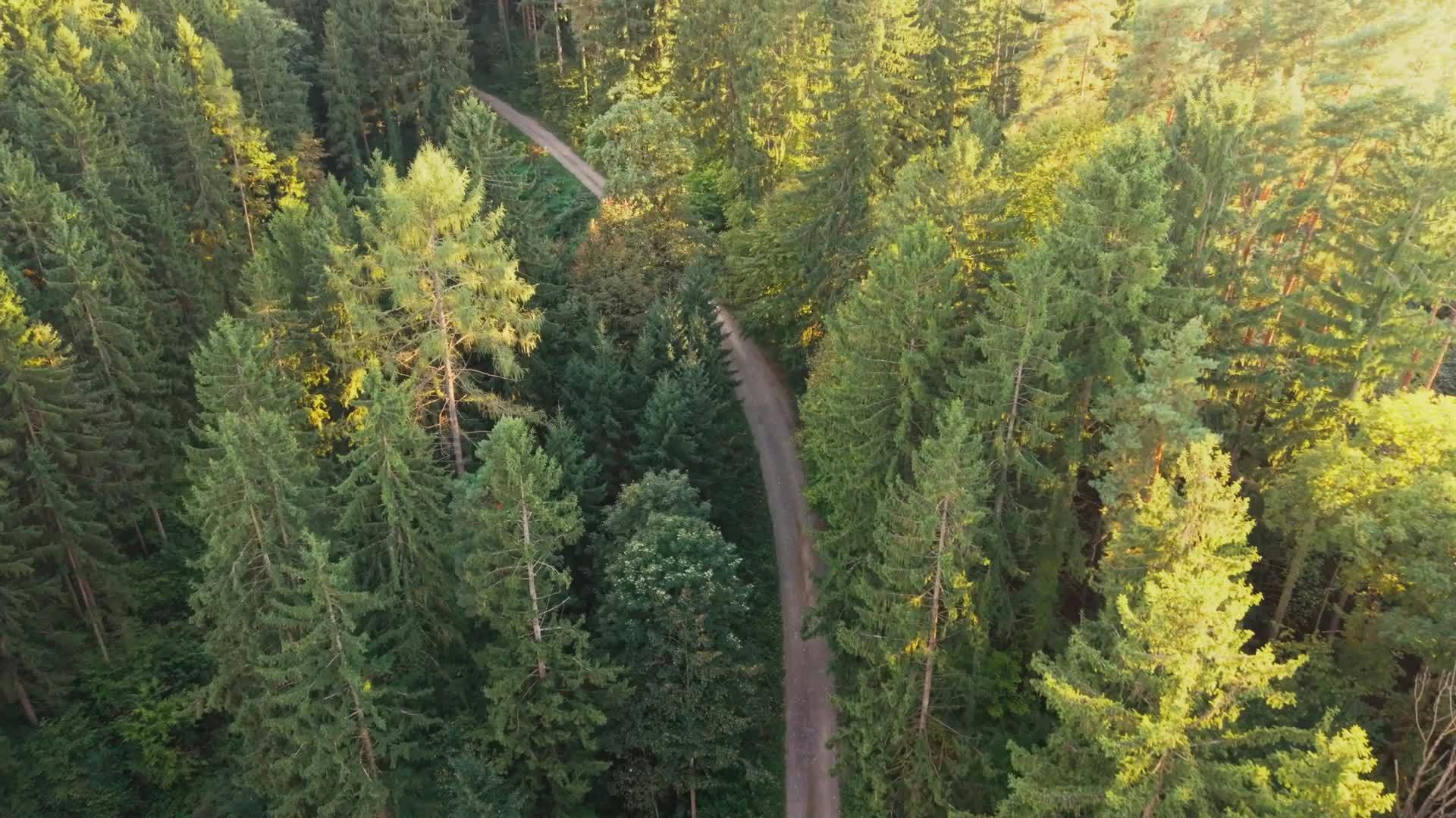 Unsplash Videos, Download The BEST Free 4k Stock Video Footage ...